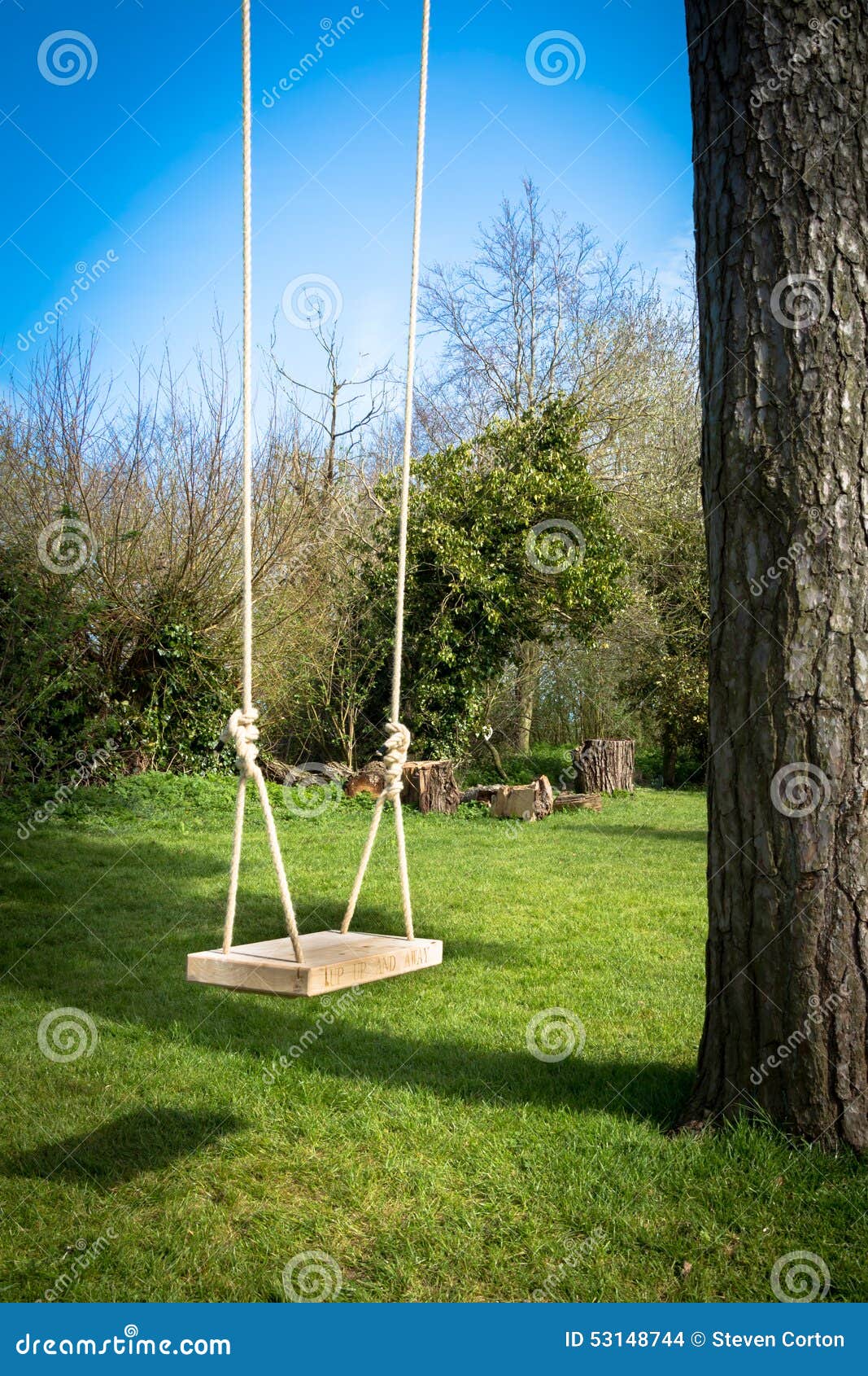 Tree Swing in the garden stock photo. Image of hang, park - 53148744