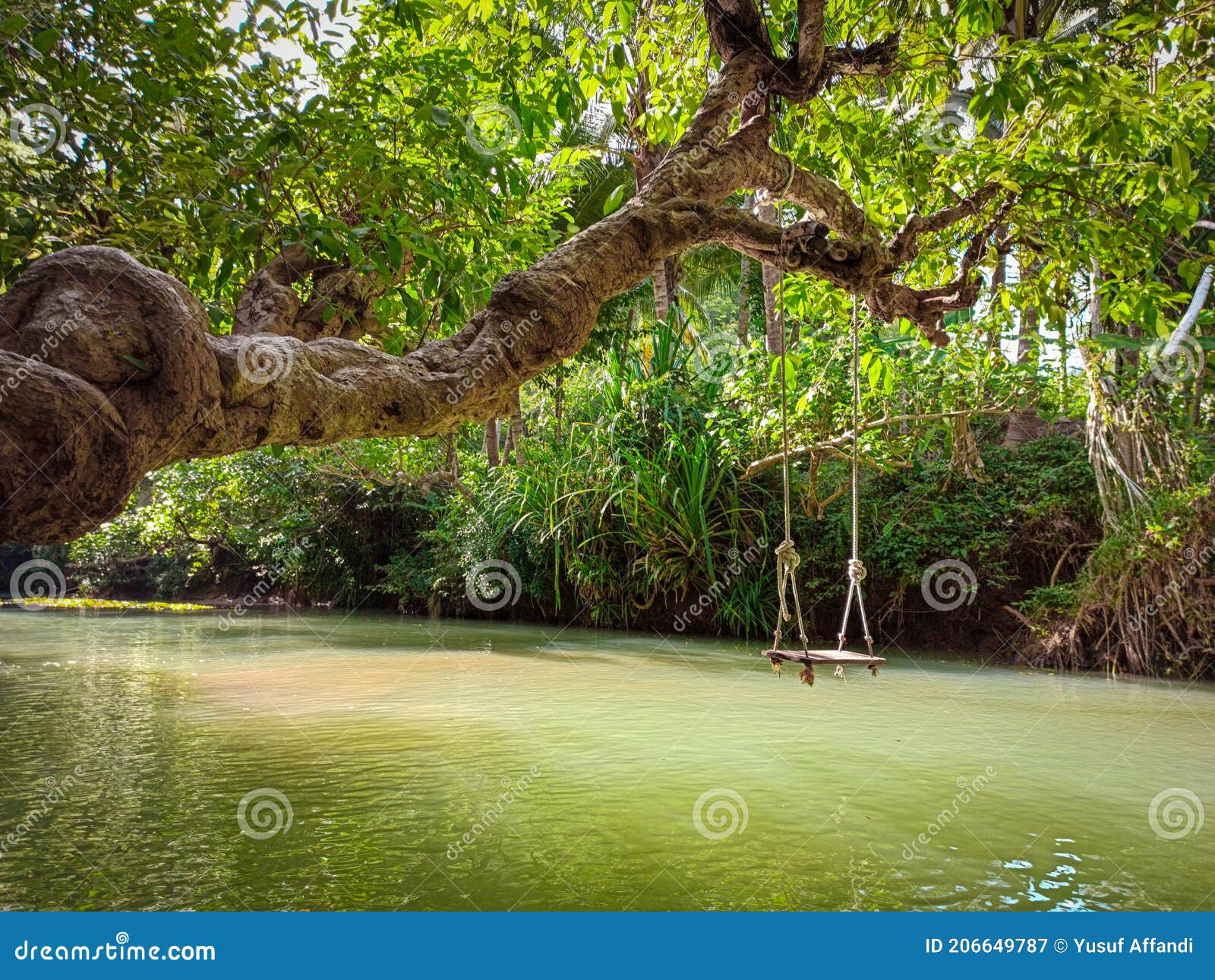 Tree Swing Over the River in the Forest Stock Image - Image of asia ...