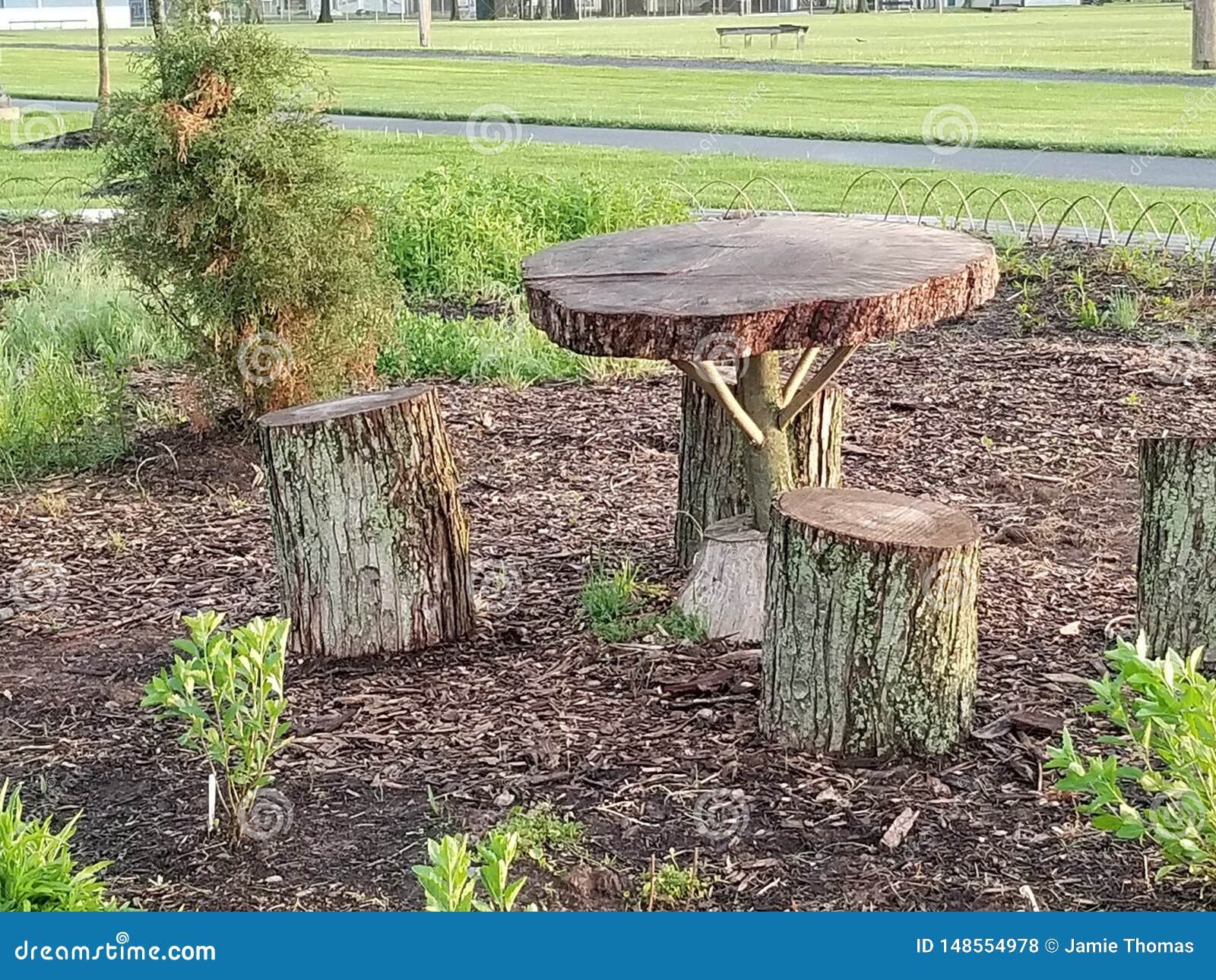 Tree table and chairs stock photo. Image of chairs, park - 148554978