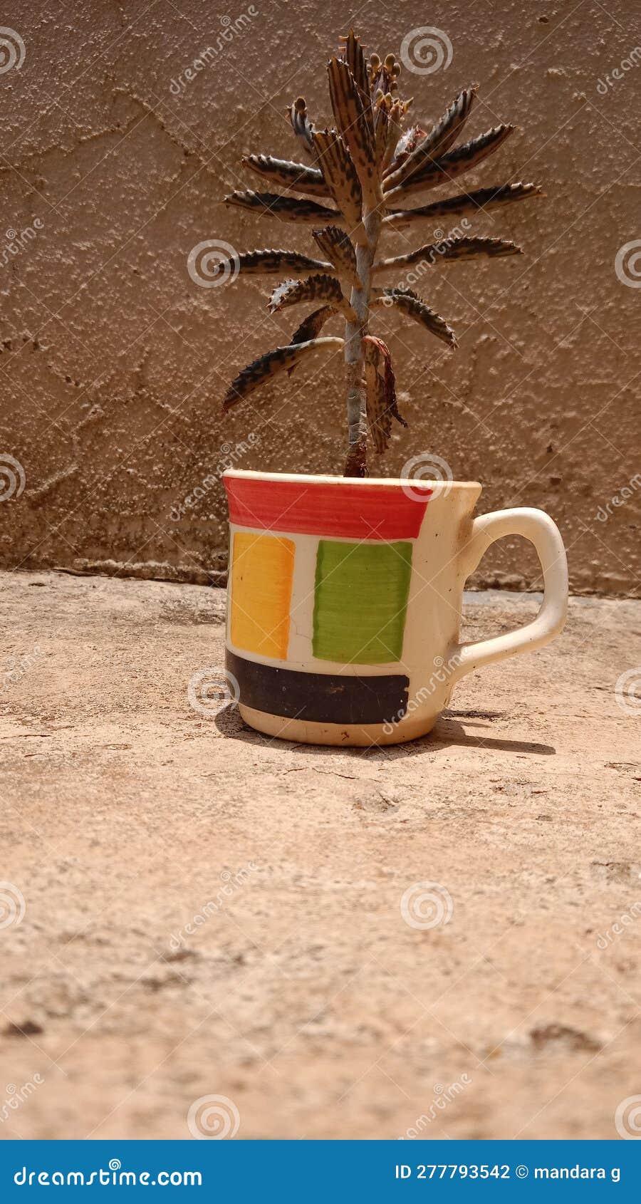Tree tea cup stock photo. Image of tree, plant, black - 277793542