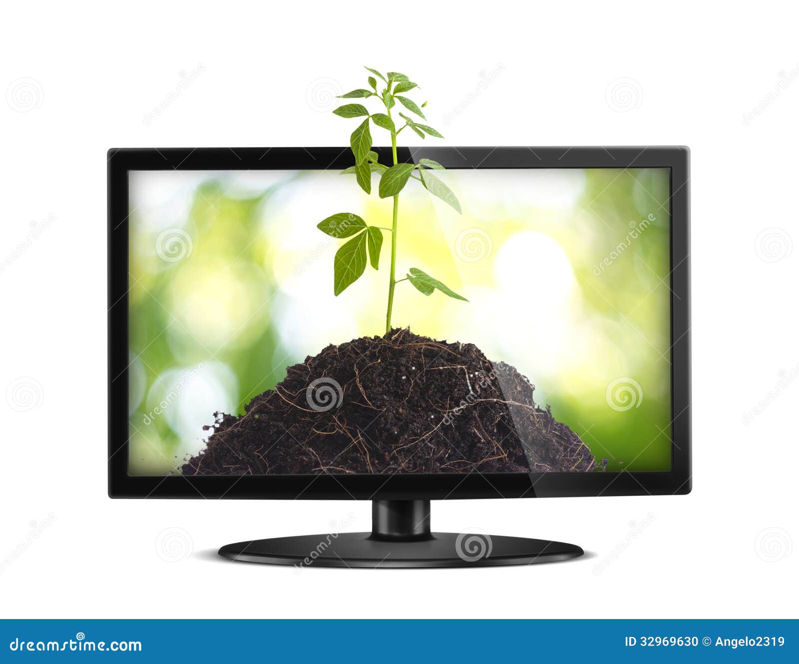 Tree in television stock photo. Image of hope, concept - 32969630