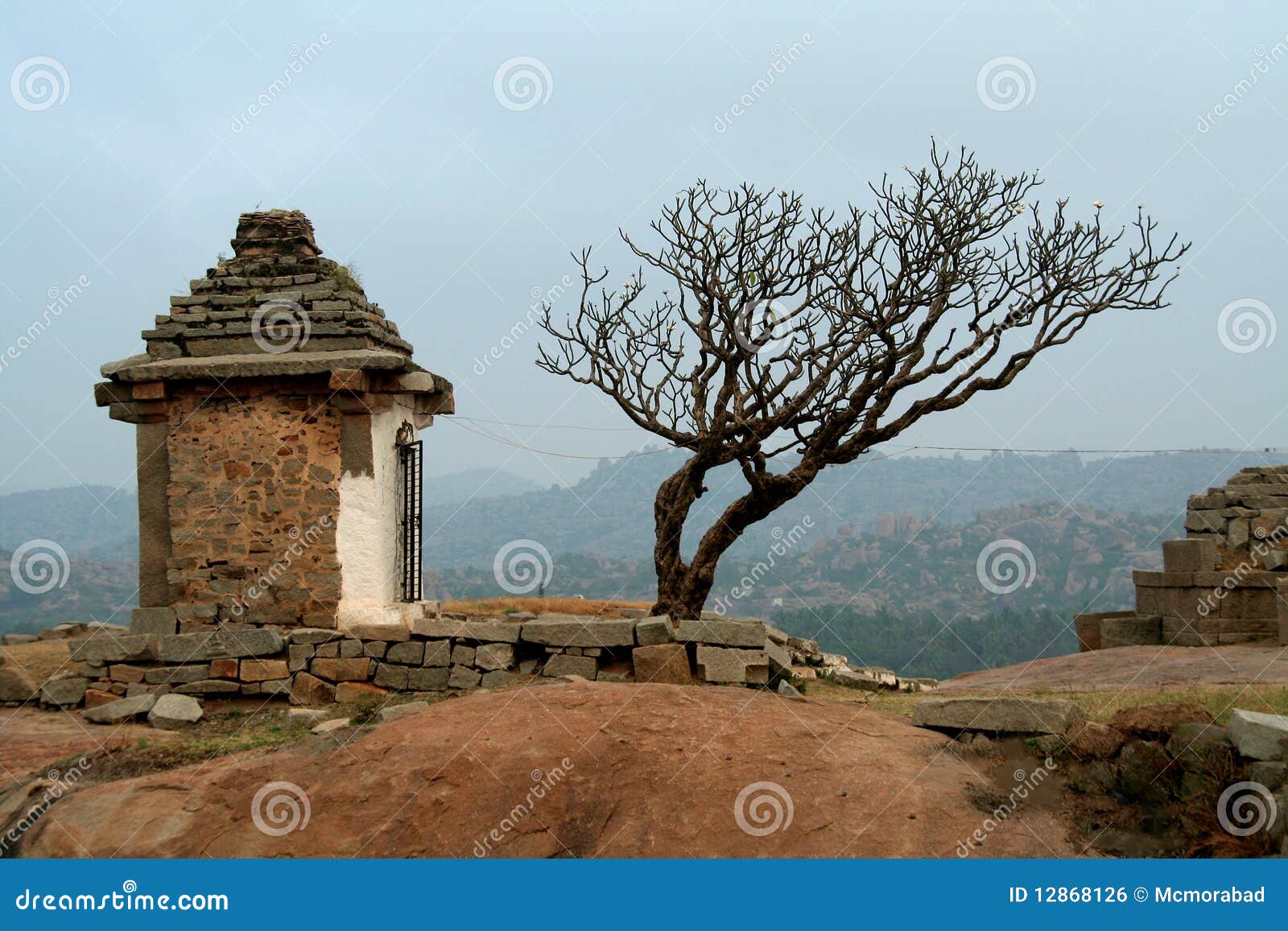 Tree and Temple stock photo. Image of temple, tree, place - 12868126