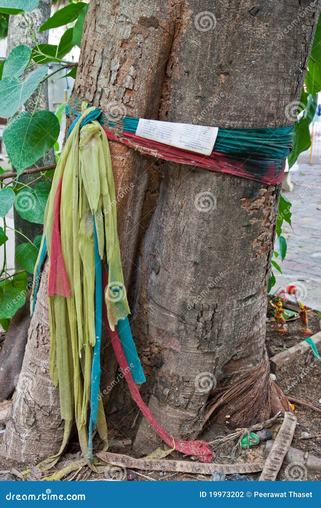 Tree in temple stock photo. Image of buddha, buddhism - 19973202