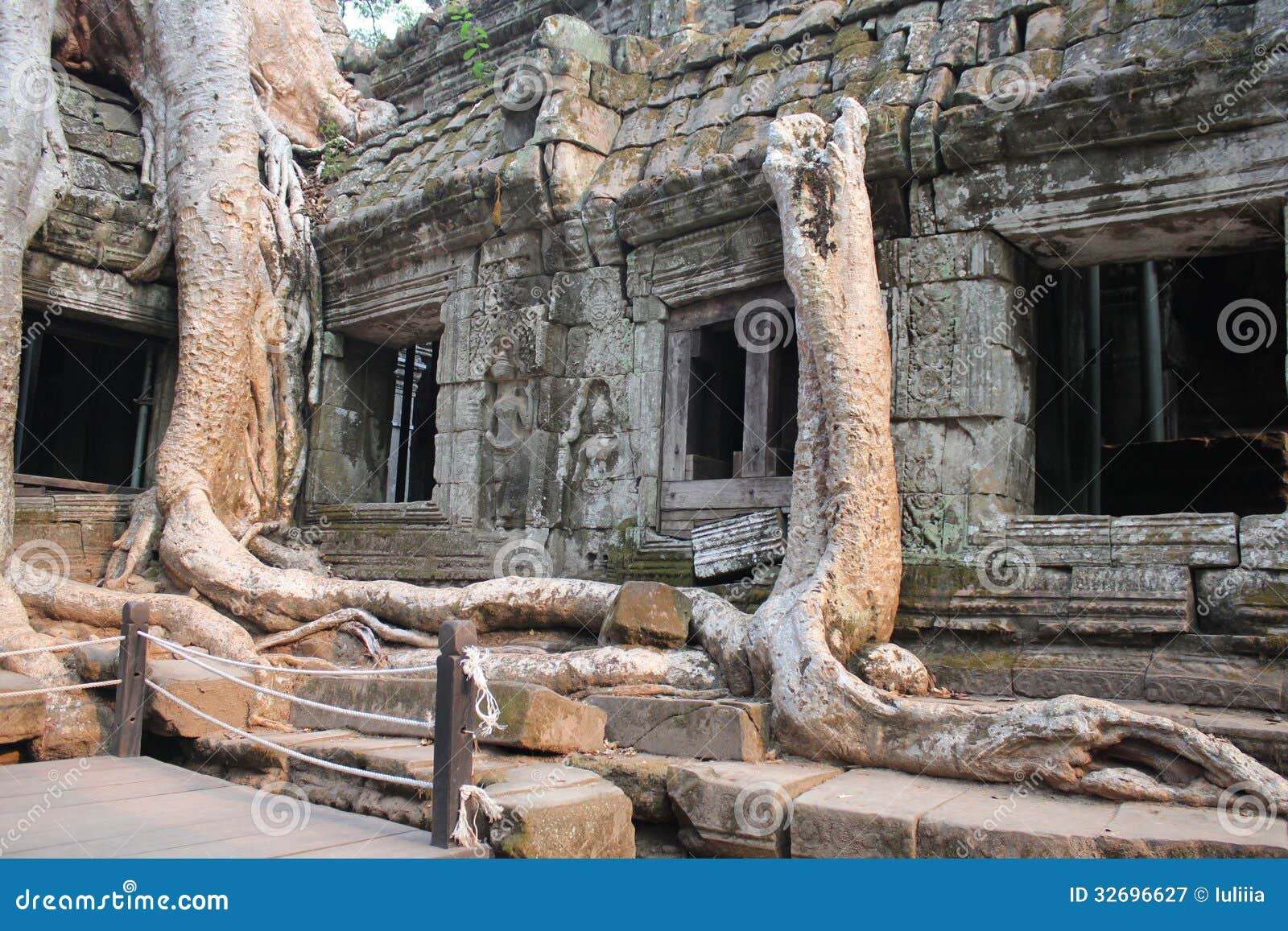 Tree and the Temple through the Thickness of the Century Stock Image ...