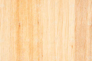 Tree Texture. Timber Light Natural Pattern Stock Photo - Image of ...