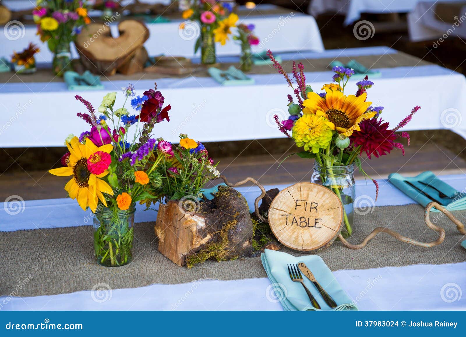 Tree Themed Wedding Reception Decor Stock Photo - Image of table ...