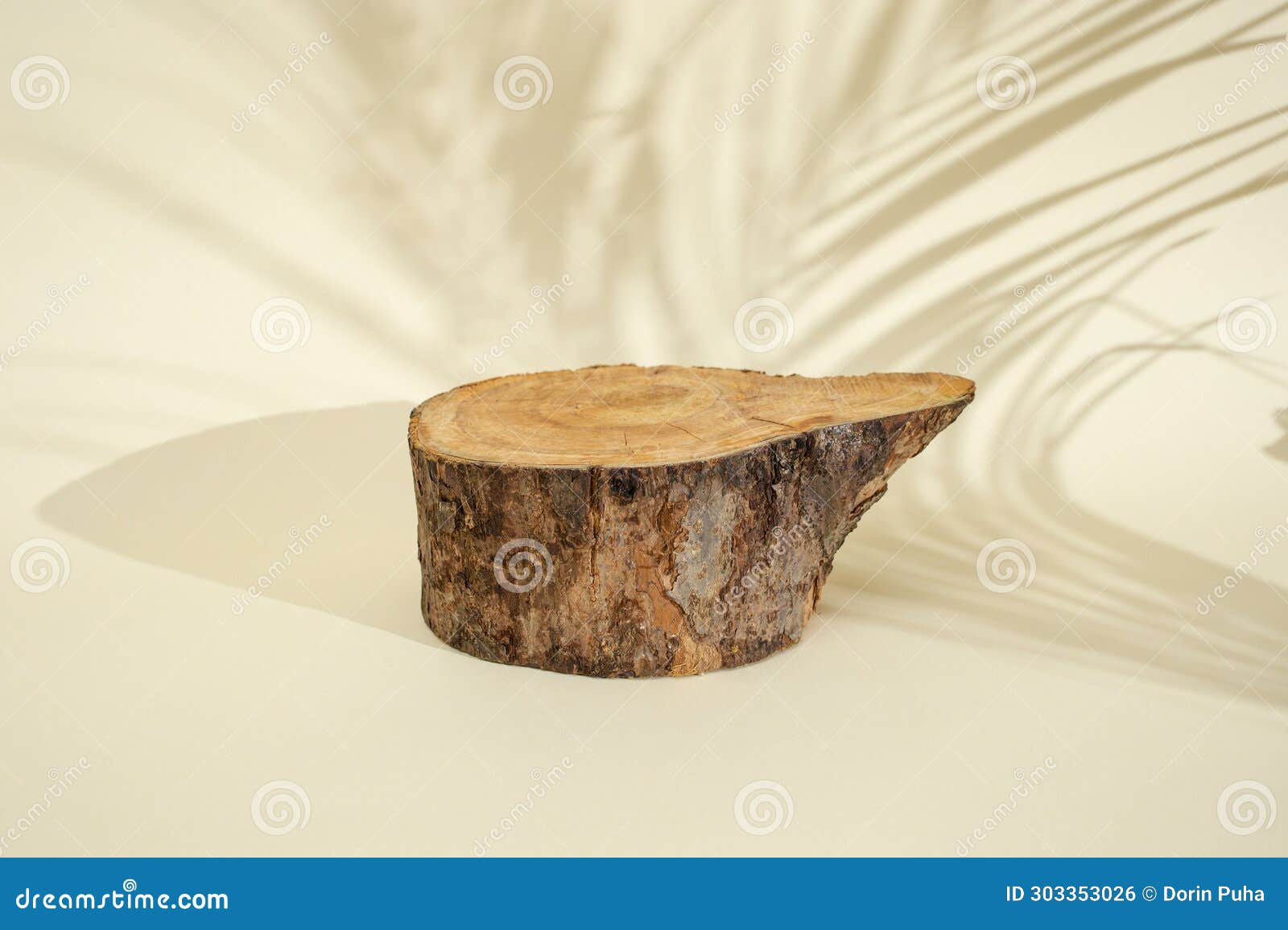 Tree Thick Cross Section on Beige Background with Defocused Palm Leaves ...