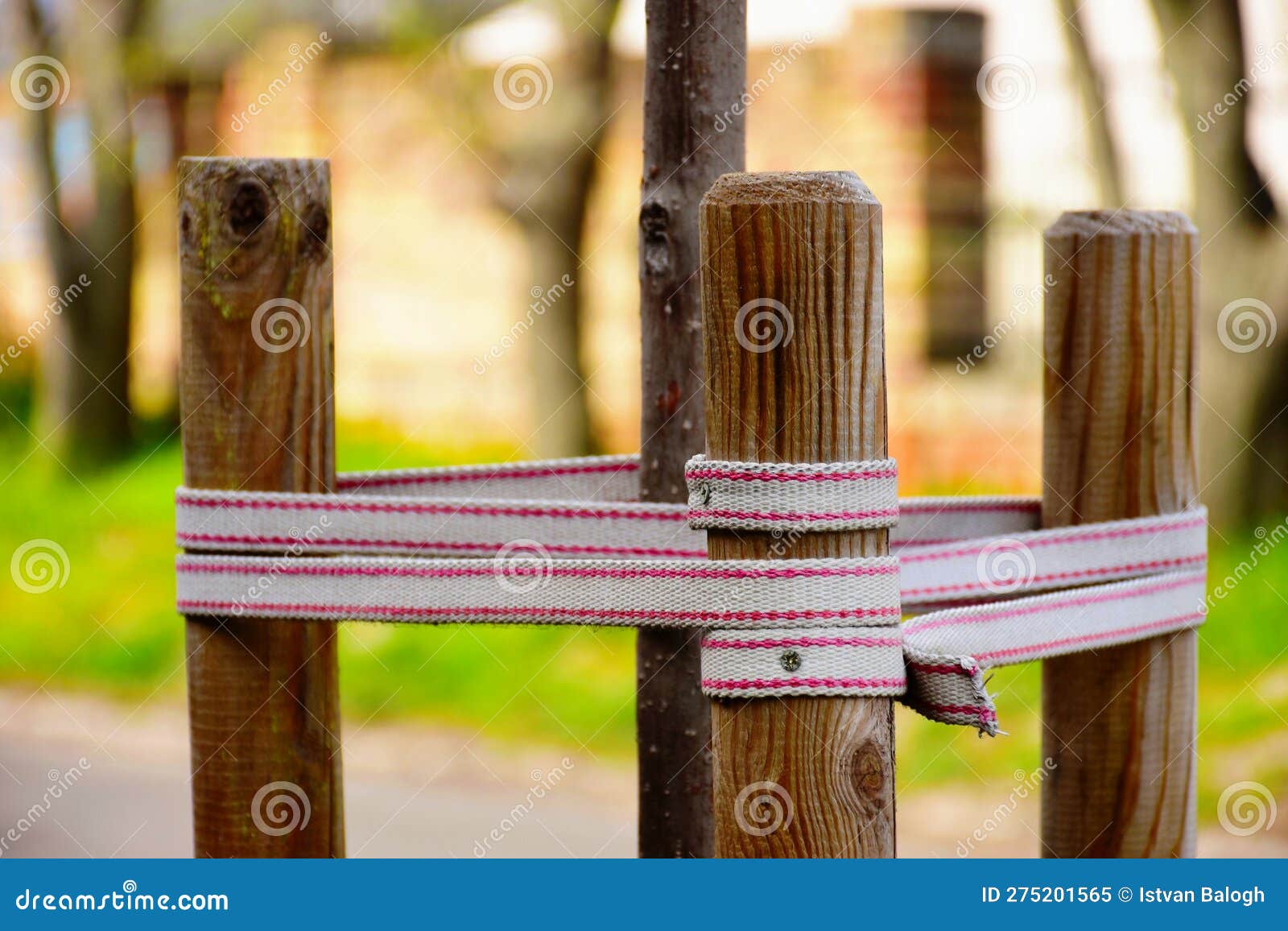 Tree Tie and Protection Device. Wood Posts Surrounding Young Planted ...