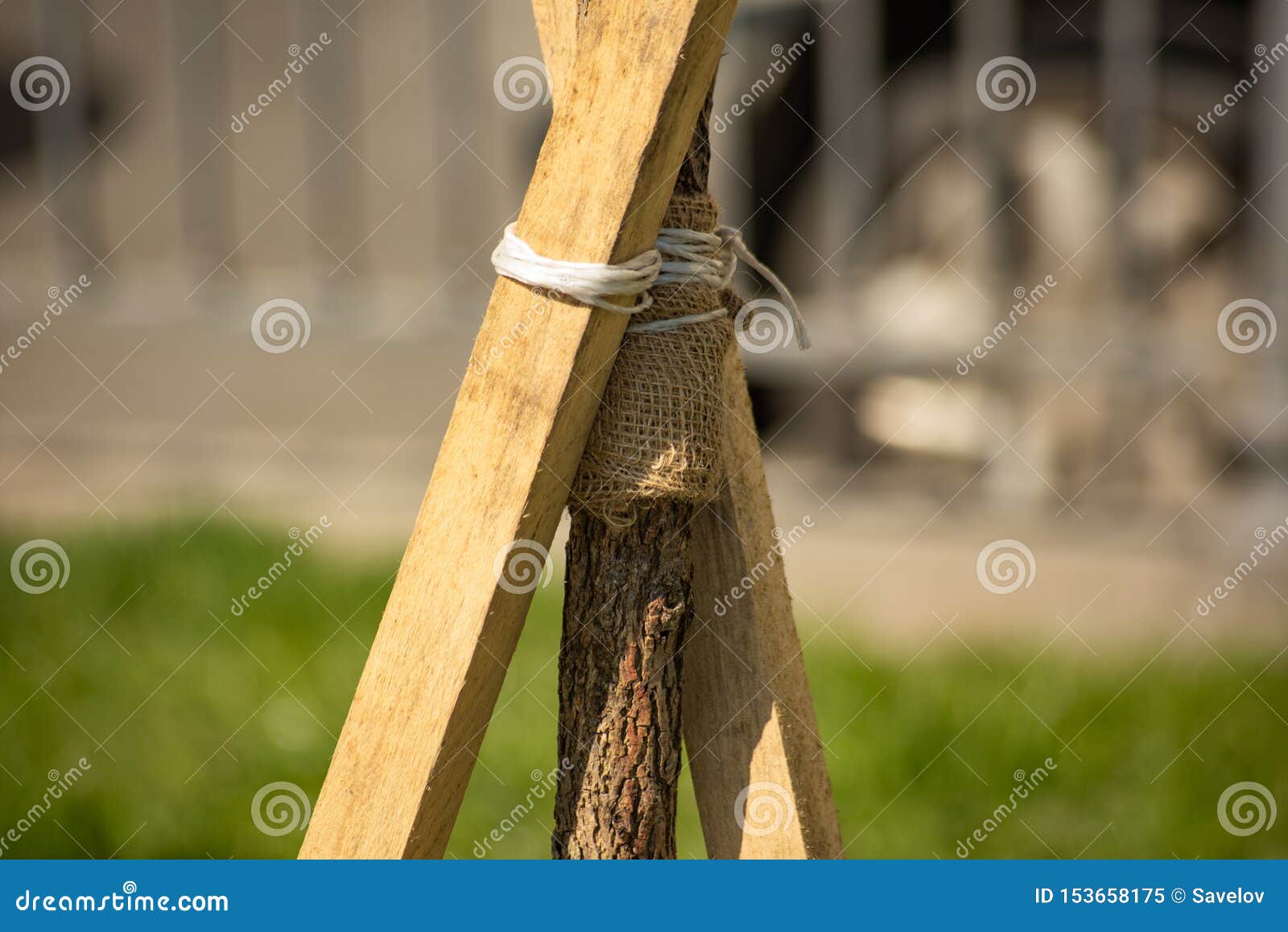 Tree Tied with Rope To Slats Stock Image - Image of tree, green: 153658175