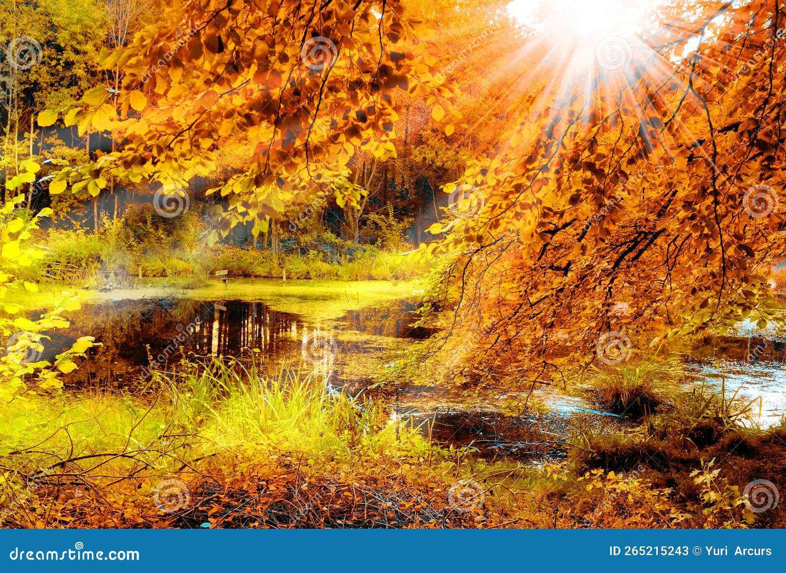 The Tree - Token of a Type. Tree - Universal Plant in All Types and ...