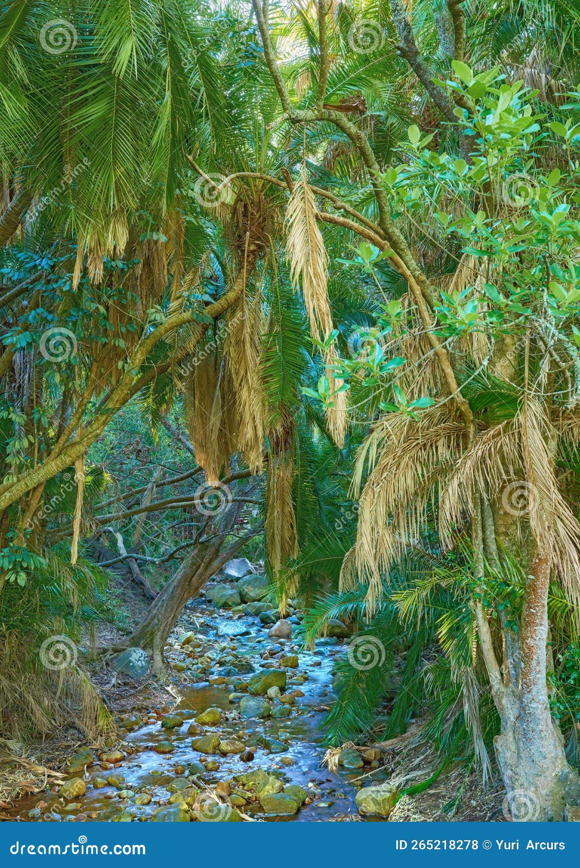 The Tree - Token of a Type. Tree - Universal Plant in All Types and ...