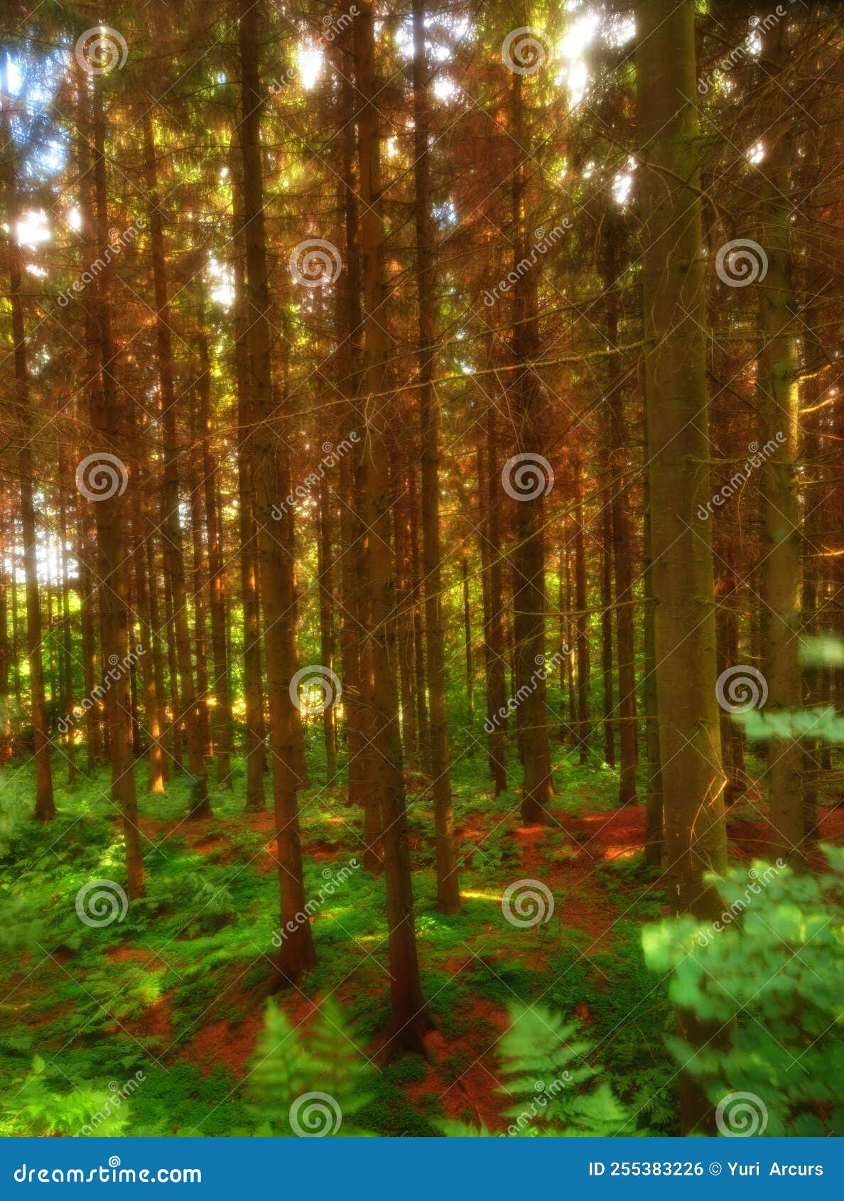 The Tree - Token of a Type. Tree - Universal Plant in All Types and ...