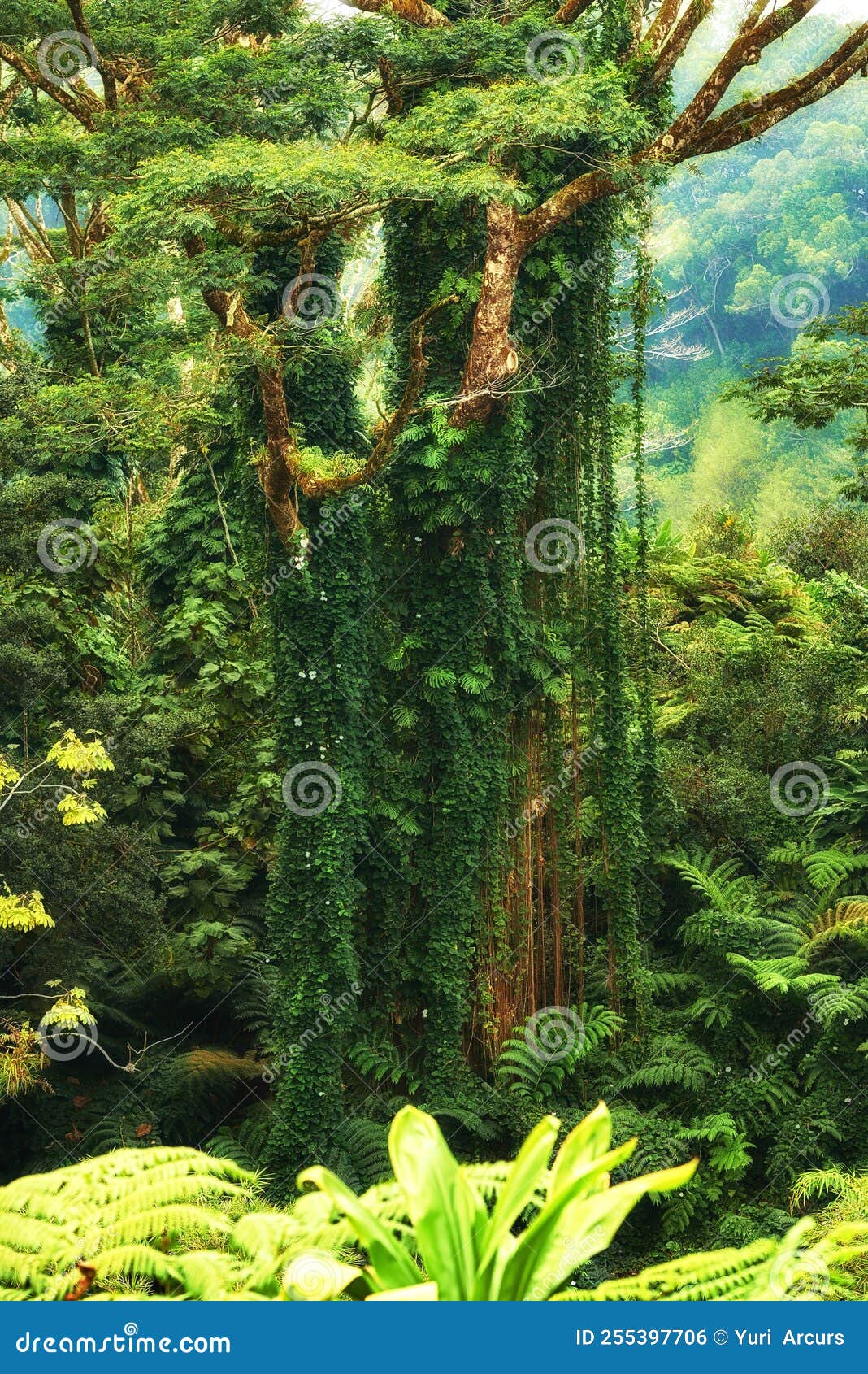 The Tree - Token of a Type. Tree - Universal Plant in All Types and ...