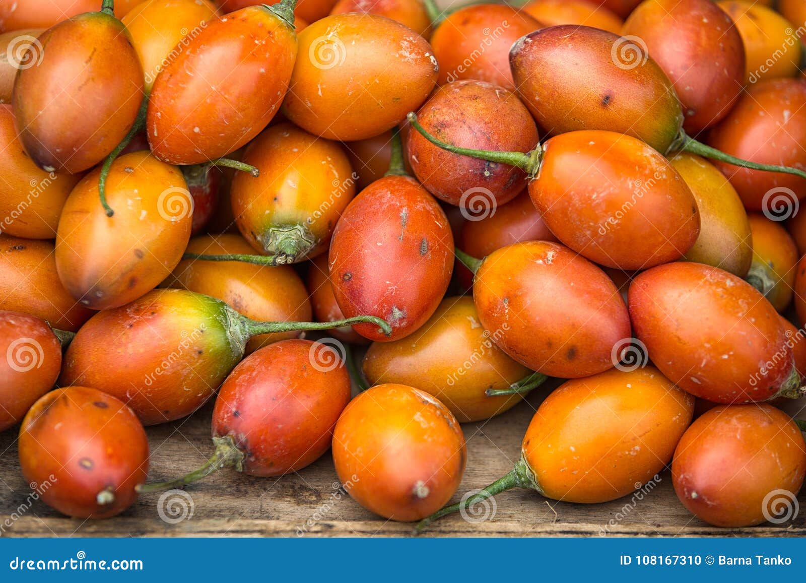 Tree Tomato Also Known As Tamarillo in Ecuador Stock Photo - Image of ...