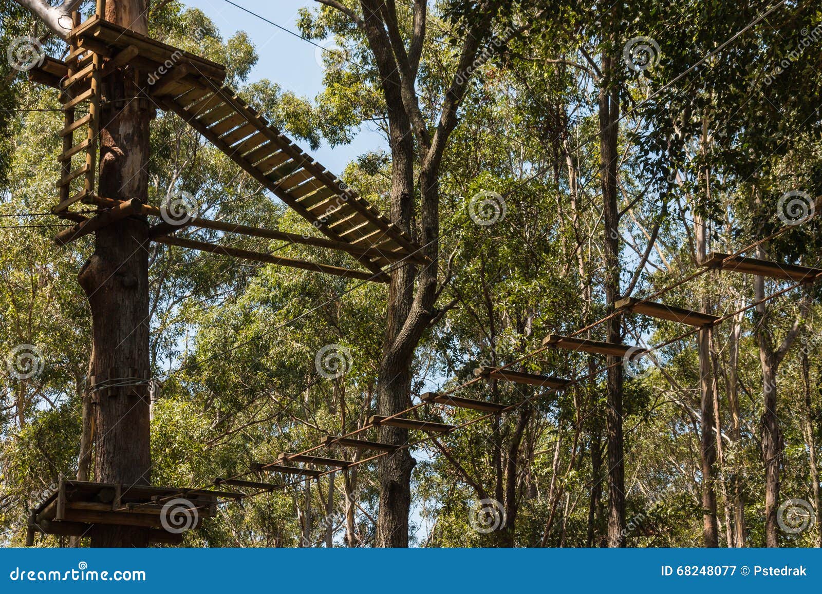 Tree-top adventure park stock image. Image of adventure - 68248077