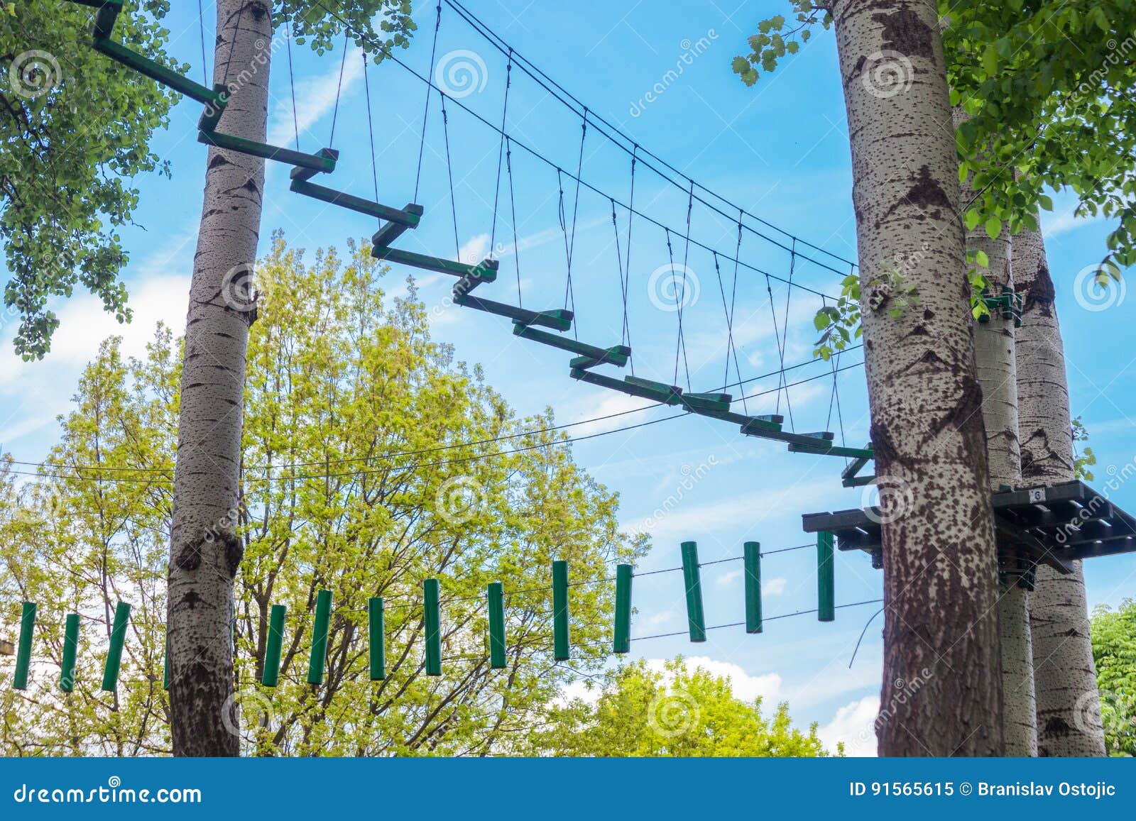 Tree top adventure park stock image. Image of walk, climbing - 91565615