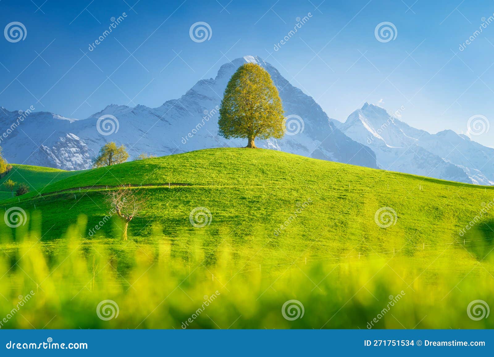 Landscape before Sunset with the Soft Lights. Fields and Pastures in a ...