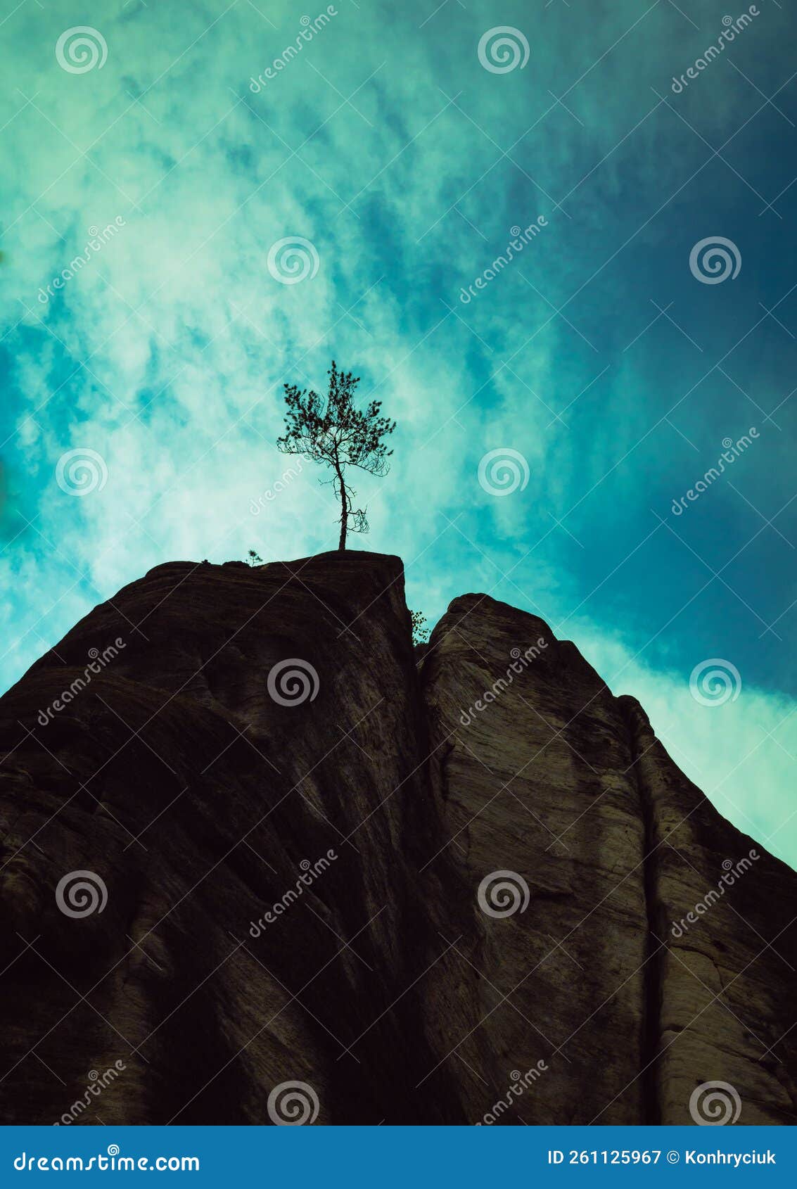Tree on the Top of the Mountain Rock Stock Image - Image of slope ...