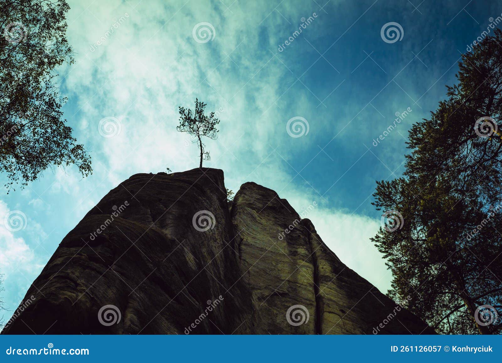 Tree on the Top of the Mountain Rock Stock Image - Image of attraction ...