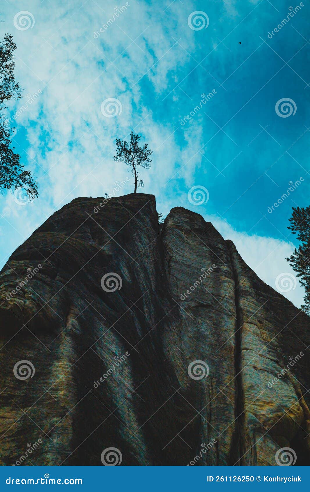 Tree on the Top of the Mountain Rock Stock Photo - Image of peak ...