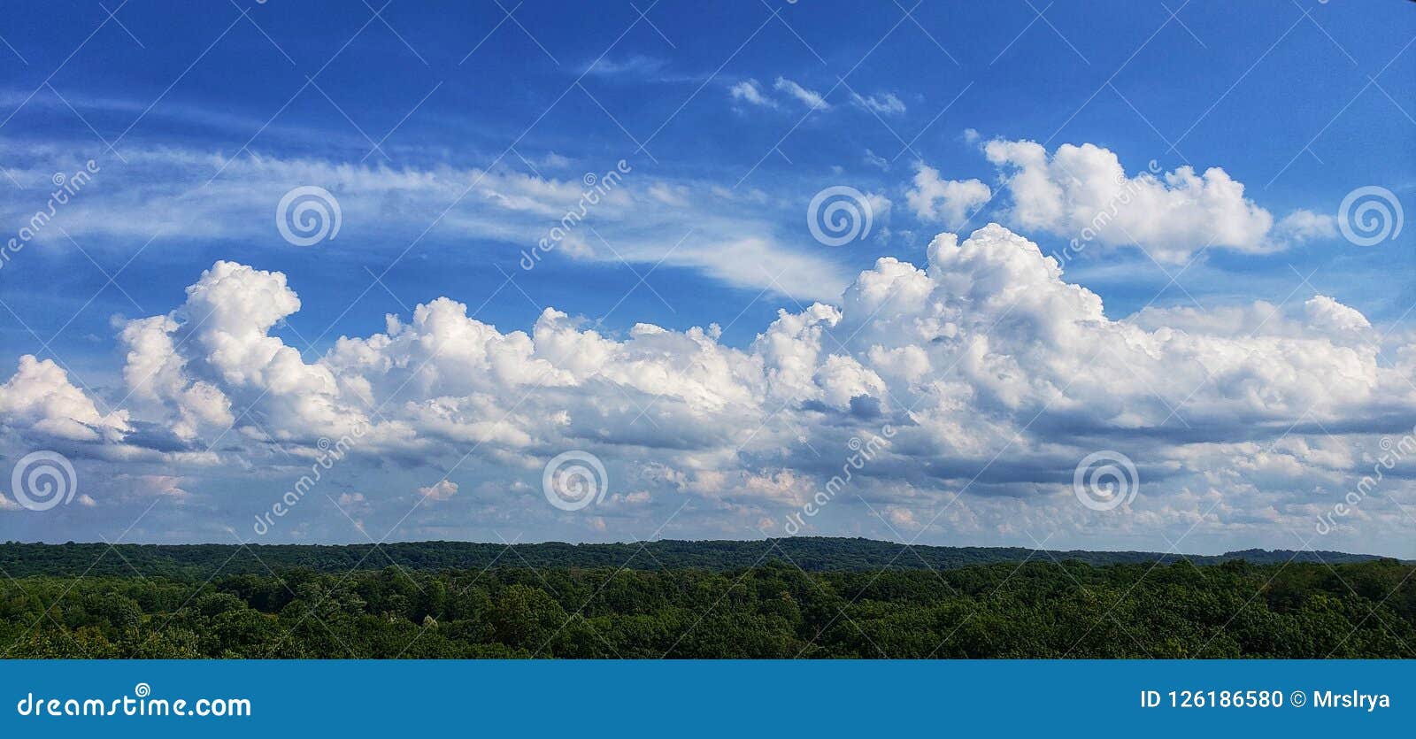 Scenic Tree Top View of the Forest from the Holden Arboretum in ...