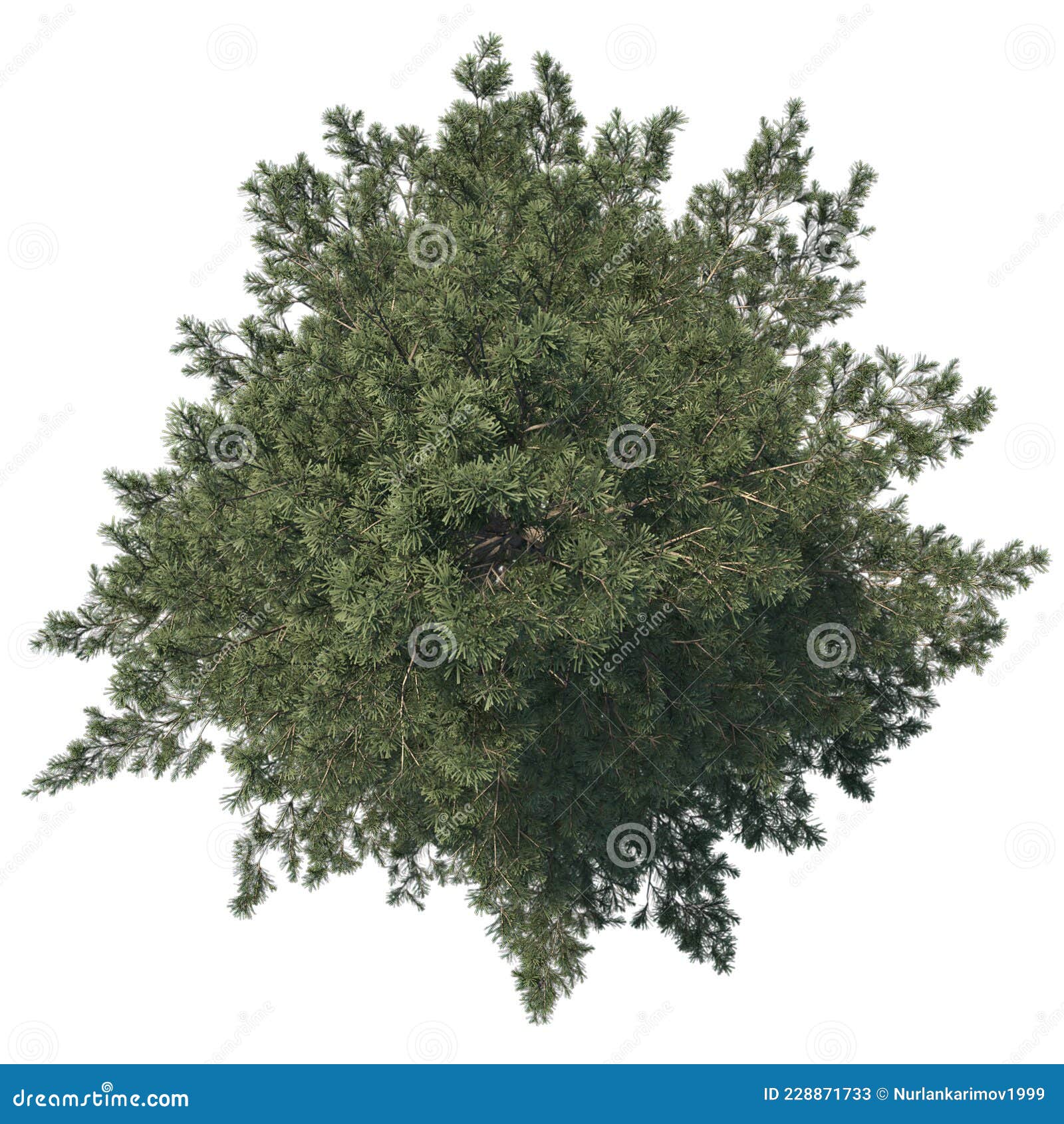 Tree from Top View Isolated on White Background for Architectural ...