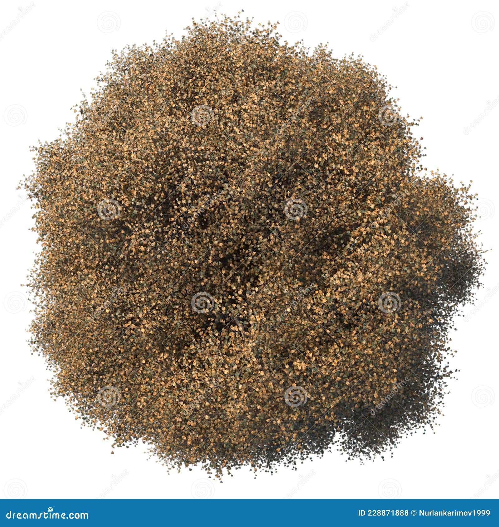 Tree from Top View Isolated on White Background for Architectural ...