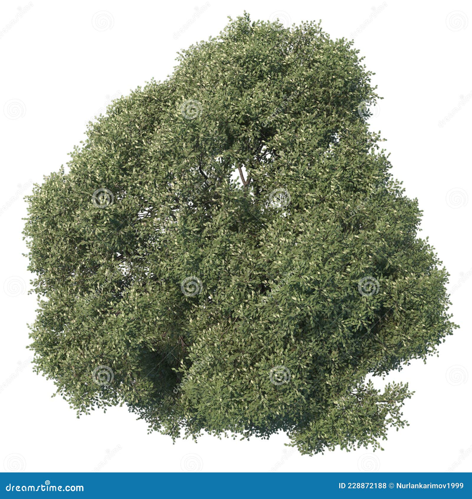 Tree from Top View Isolated on White Background for Architectural ...