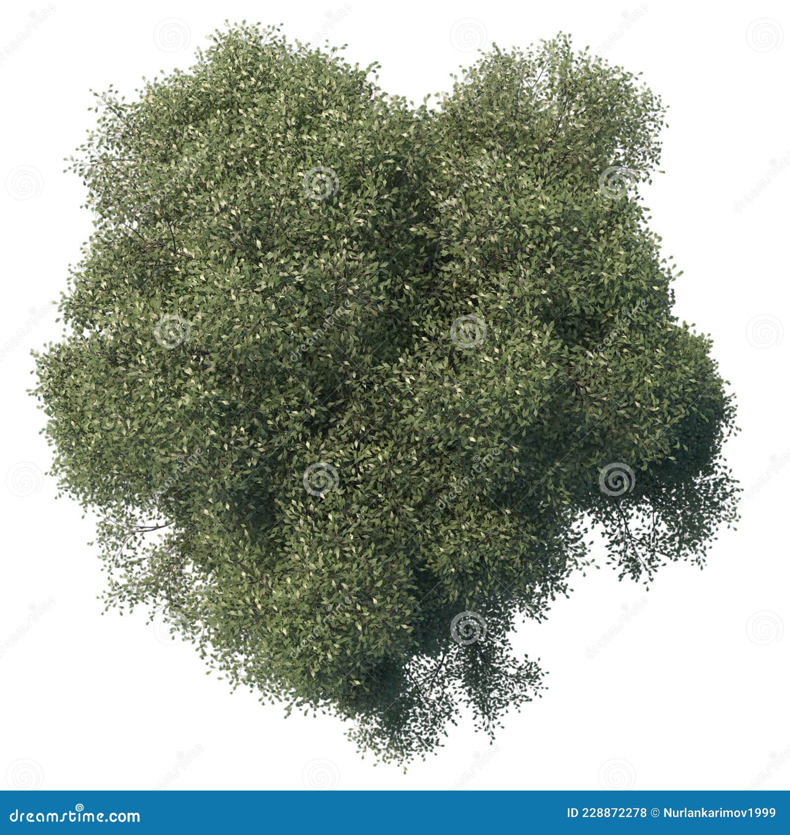 Tree from Top View Isolated on White Background for Architectural ...