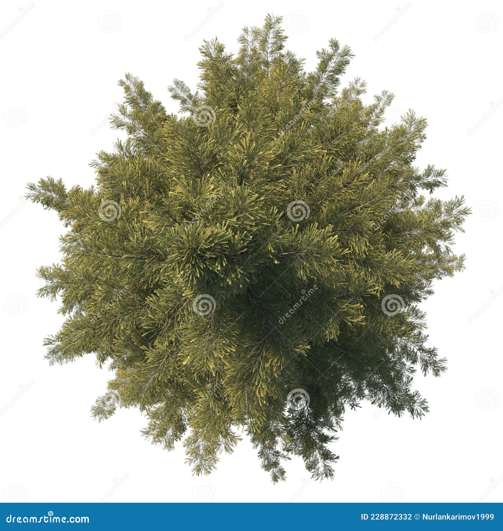 Tree from Top View Isolated on White Background for Architectural ...