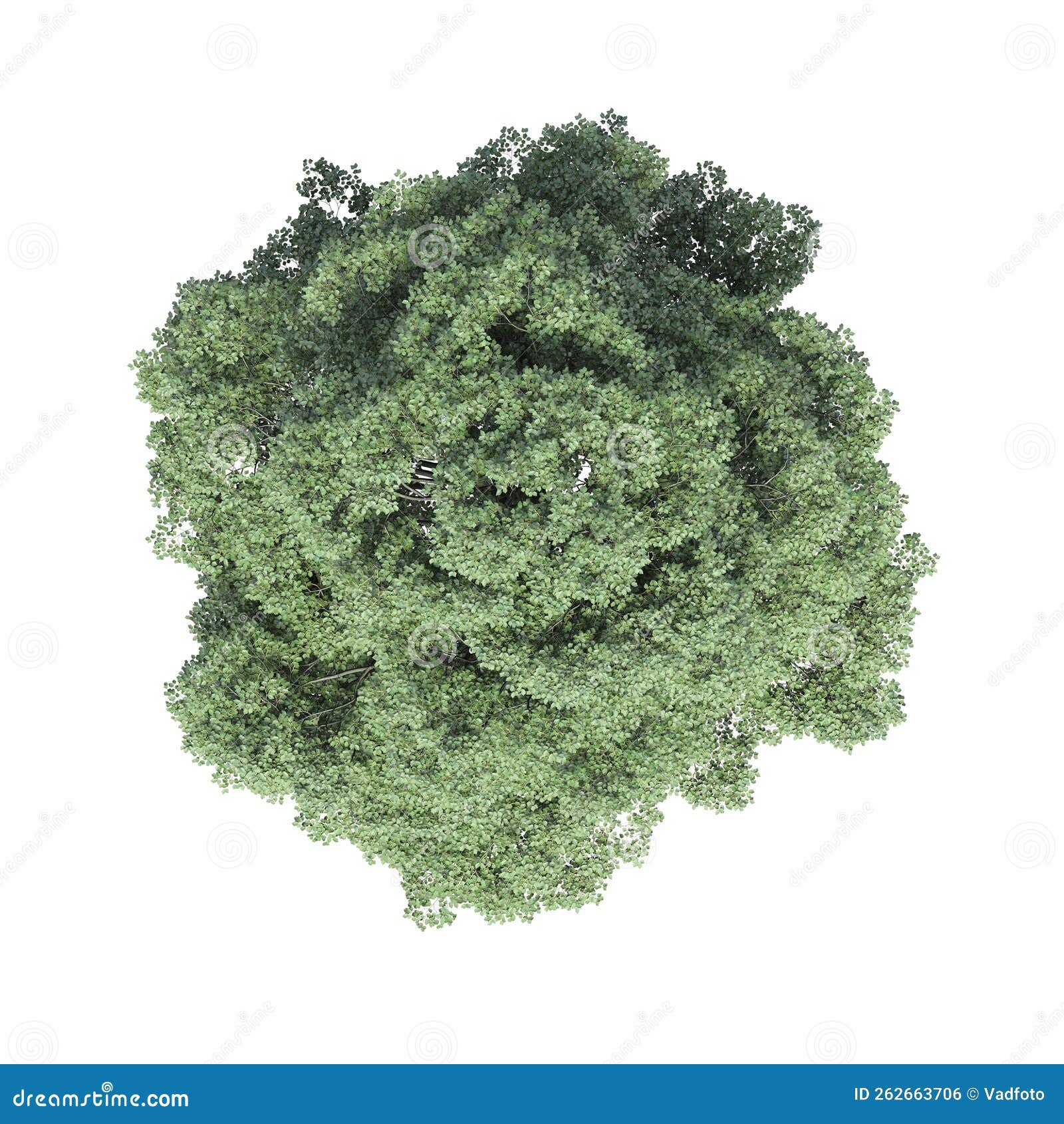 Tree Top View, Isolated on White Background Stock Illustration ... Tree Top View, Isolated on White Background Stock Illustration ...