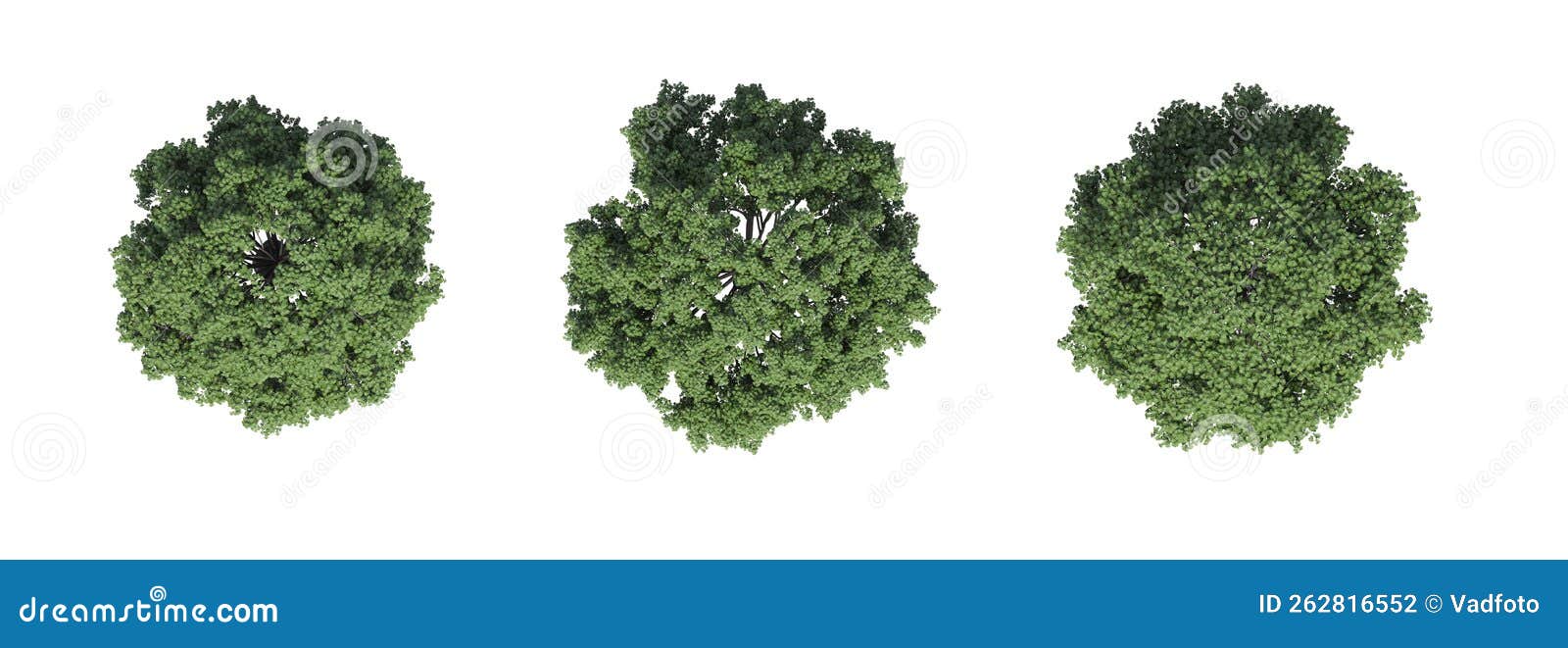 Tree Top View, Isolated on White Background Stock Illustration ...