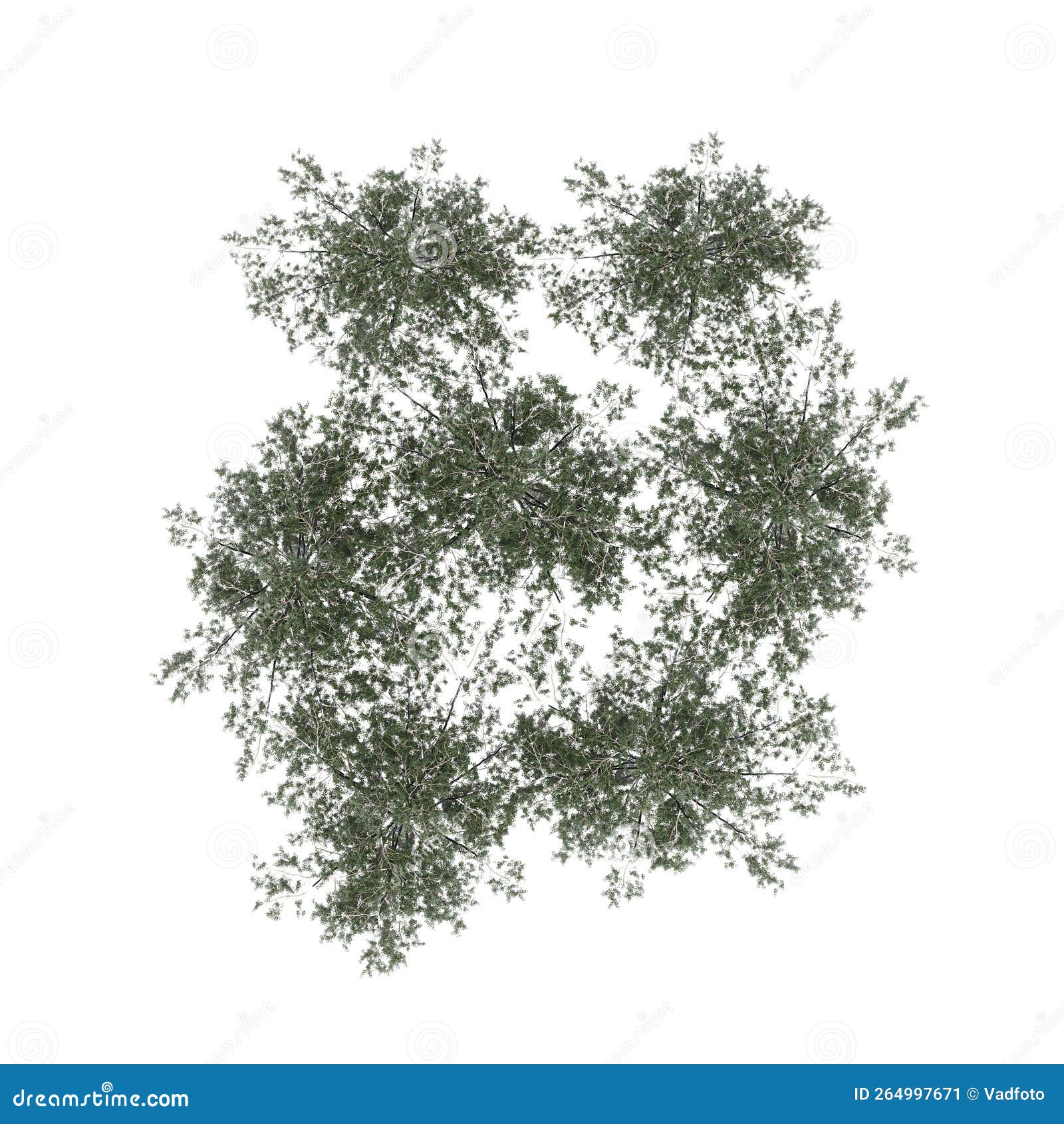 Tree Top View, Isolated on White Background Stock Illustration ...