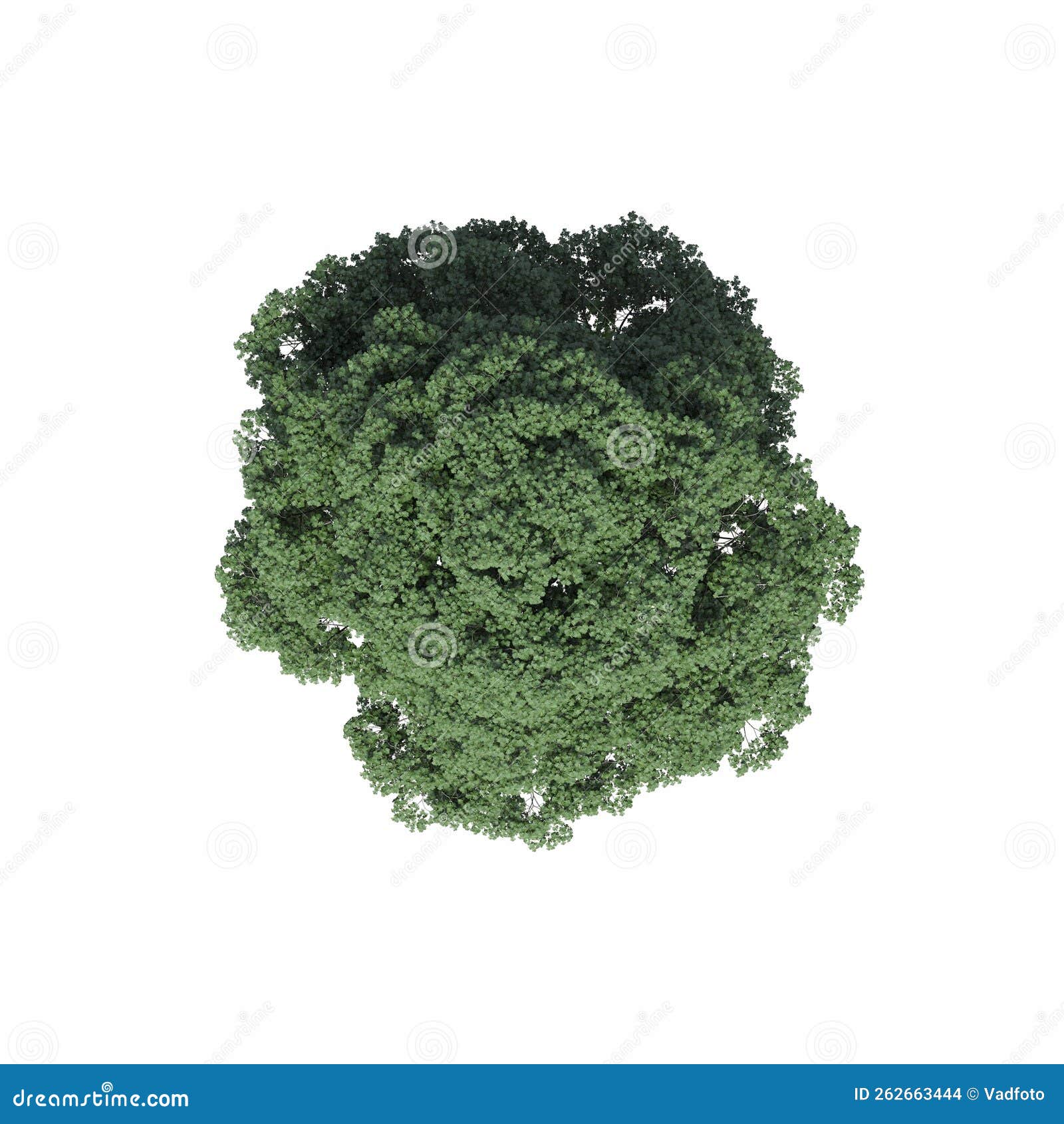 Tree Top View, Isolated on White Background Stock Illustration ...