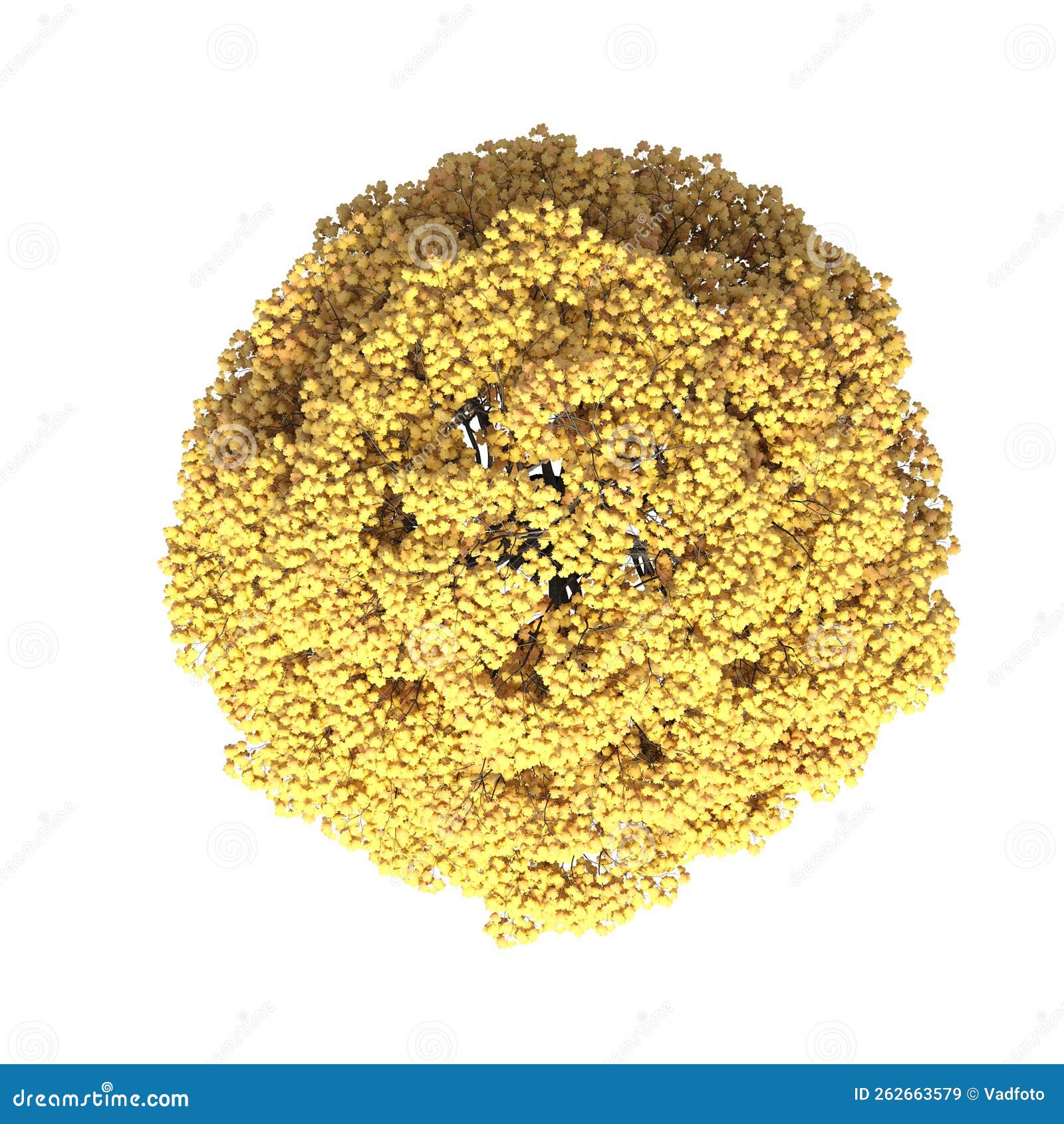 Tree Top View, Isolated on White Background Stock Illustration ... Tree Top View, Isolated on White Background Stock Illustration ...