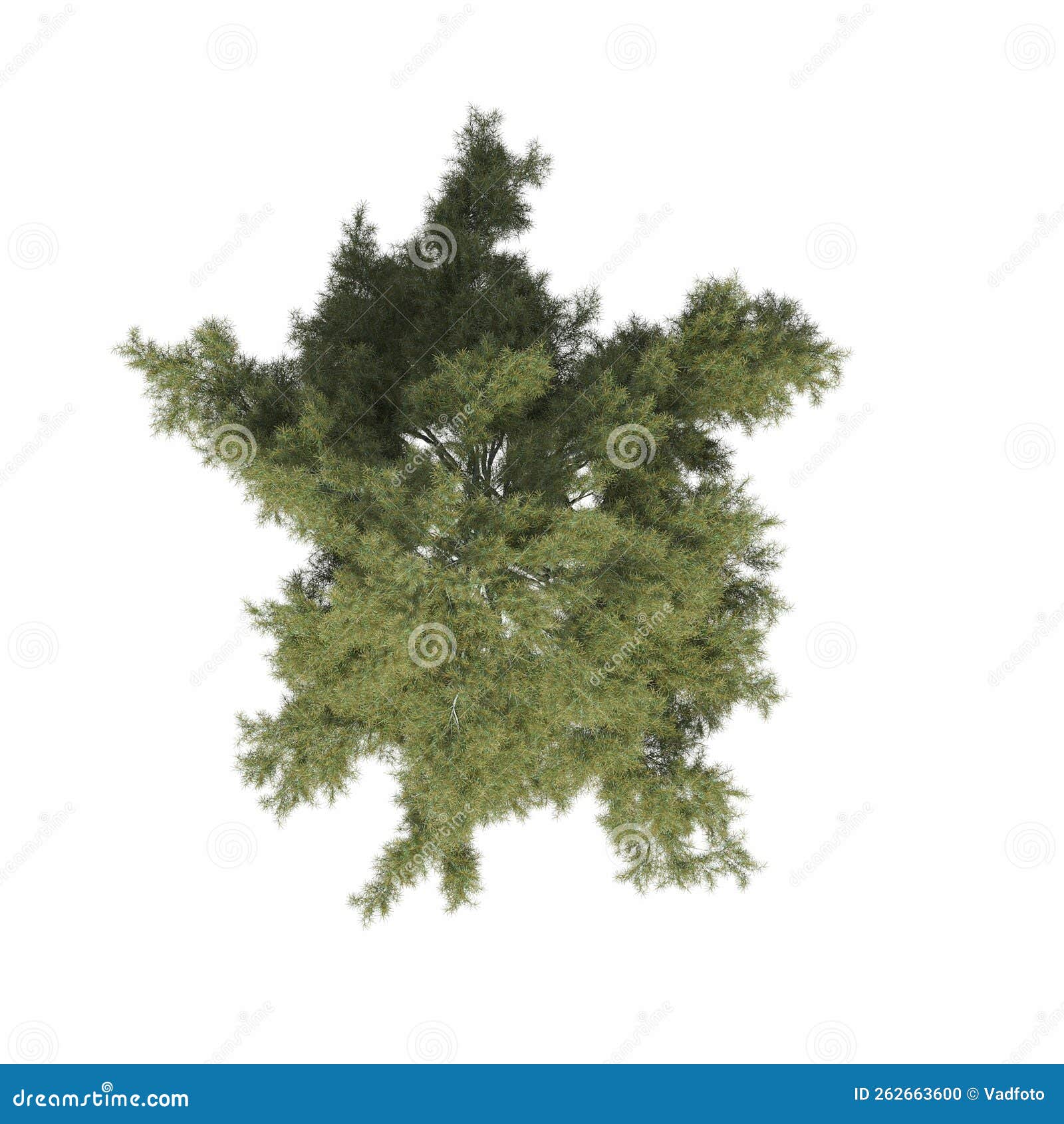 Tree Top View, Isolated on White Background Stock Illustration ...