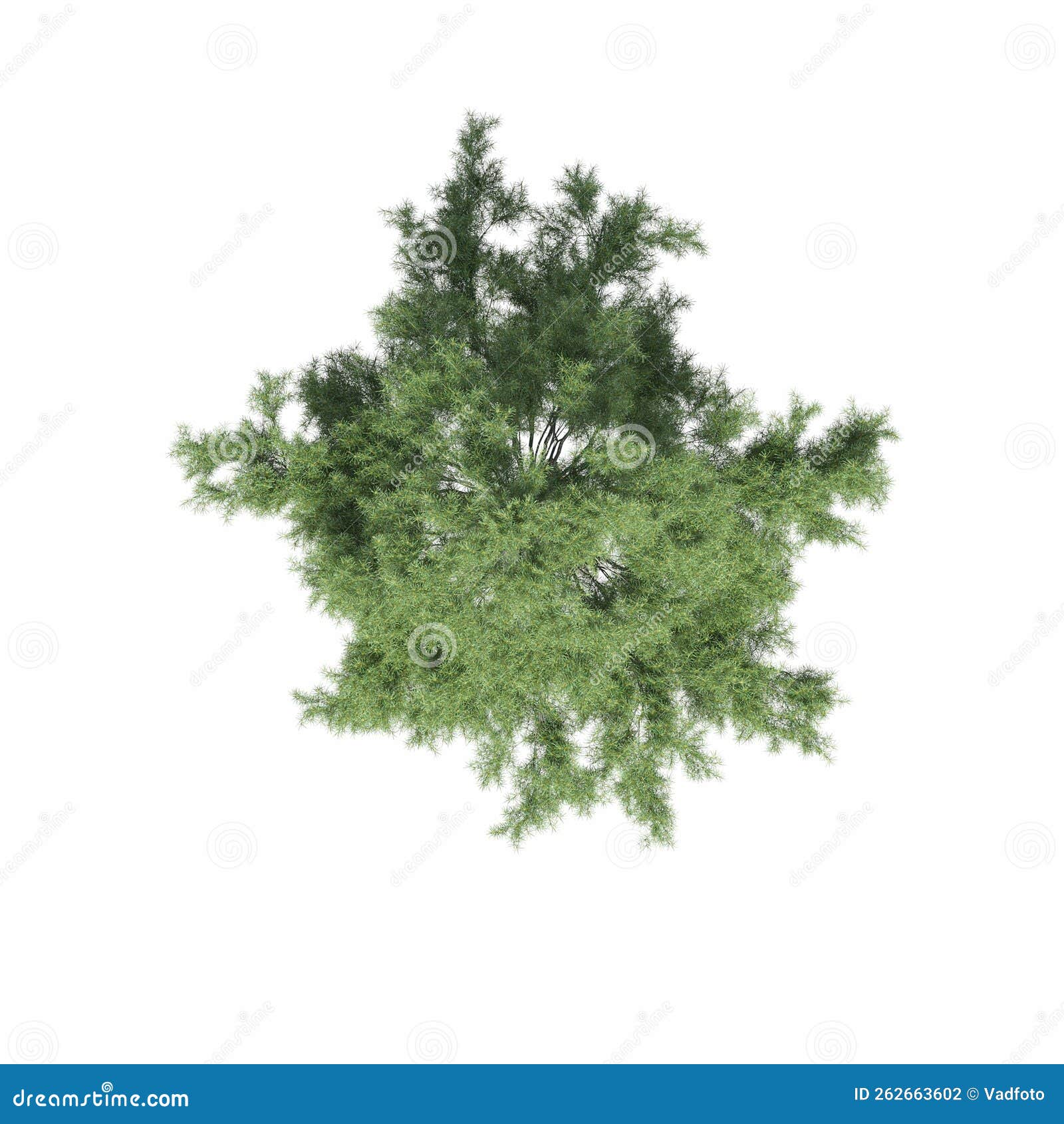 Tree Top View, Isolated on White Background Stock Illustration ...