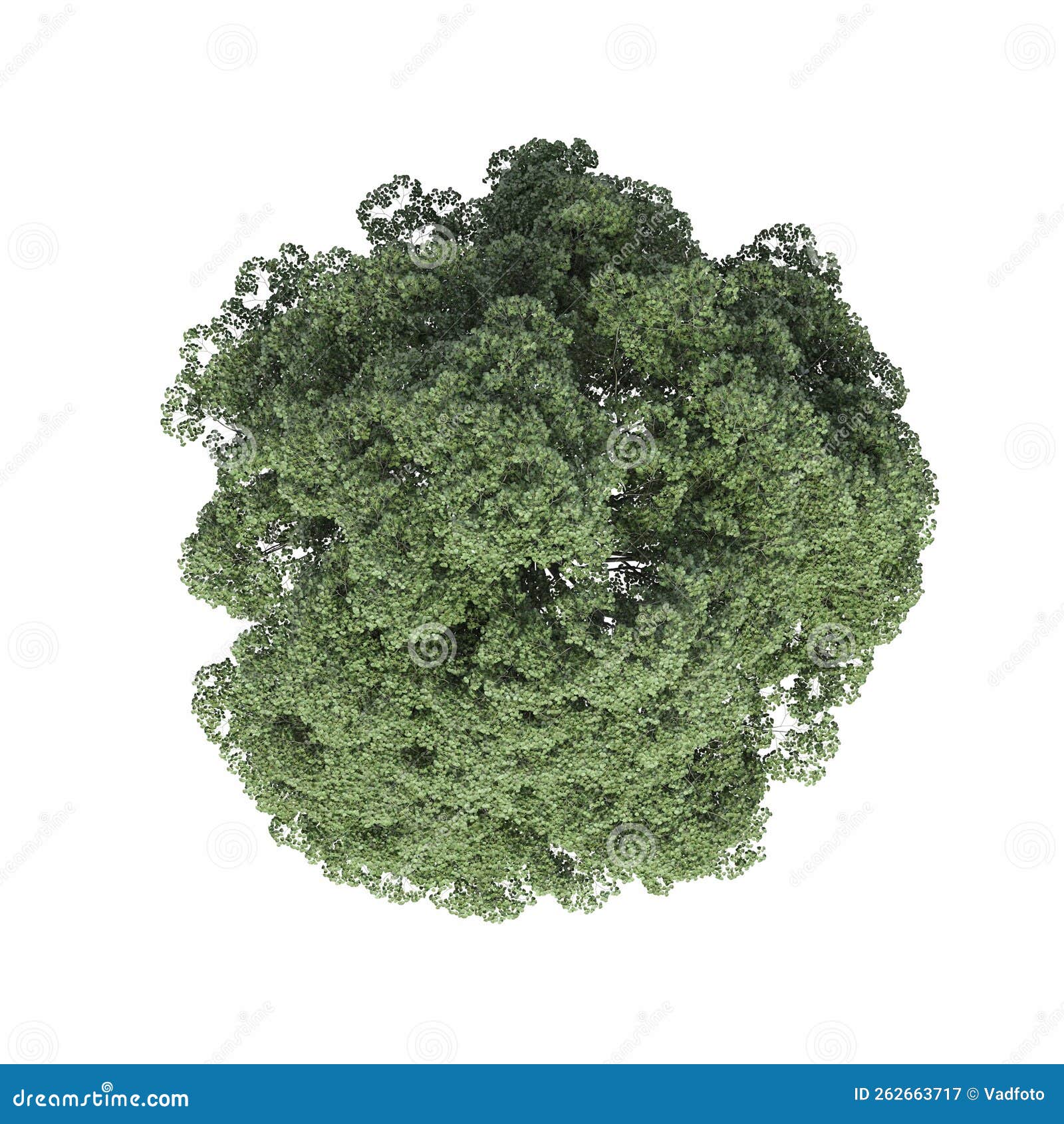 Tree Top View, Isolated on White Background Stock Illustration ...