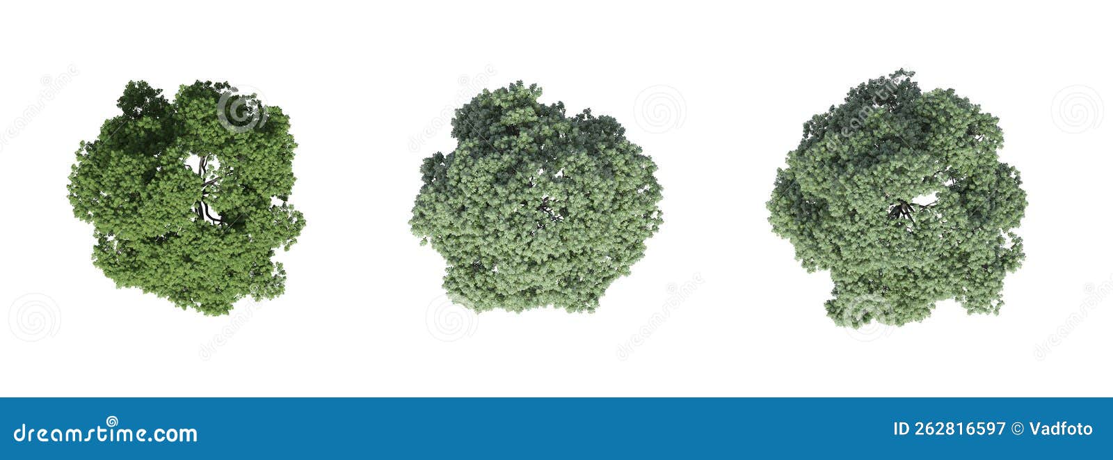 Tree Top View, Isolated on White Background Stock Illustration ...