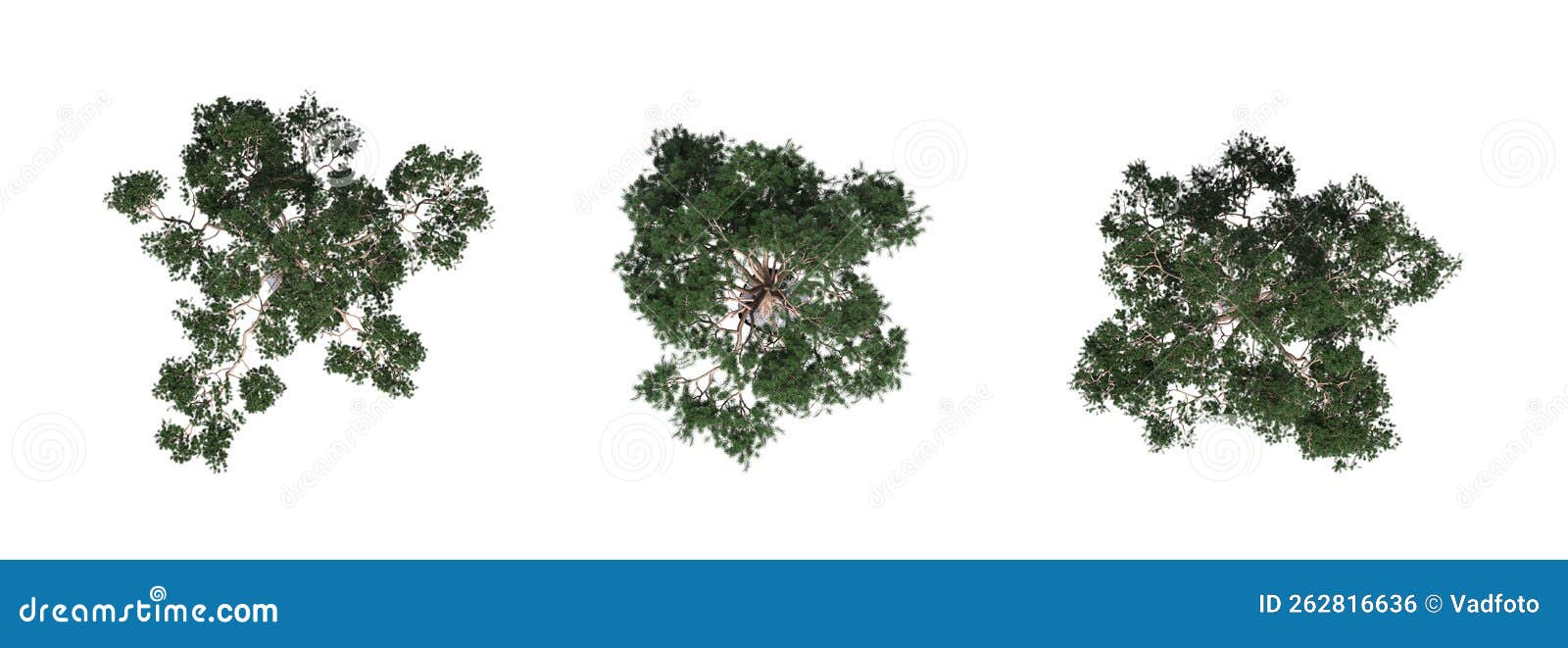 Tree Top View, Isolated on White Background Stock Illustration ... Tree Top View, Isolated on White Background Stock Illustration ...