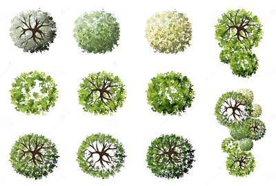 Tree Top View Isolated on White Background for Landscape Stock Photo ...