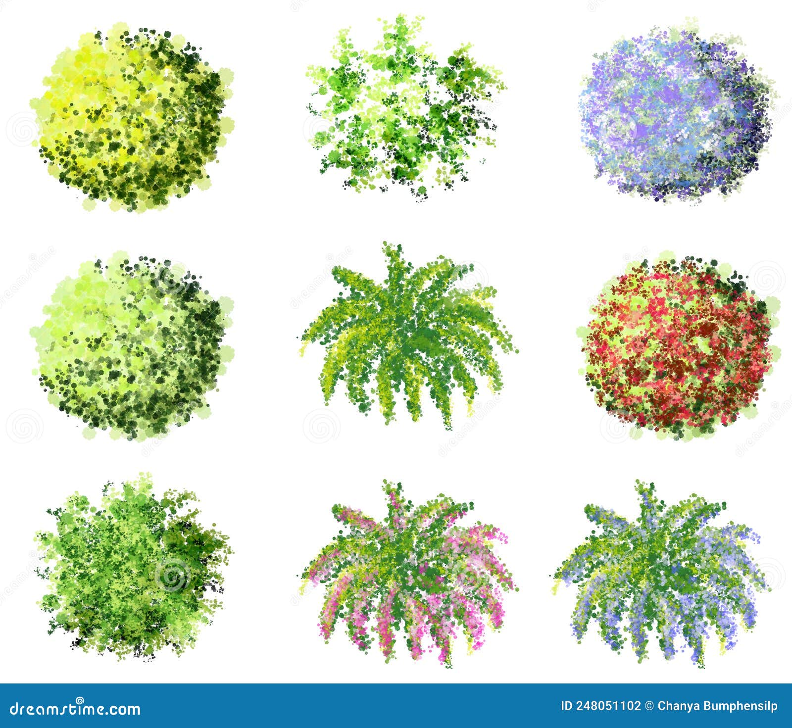 Tree Top View Isolated on White Background for Landscape Stock ...