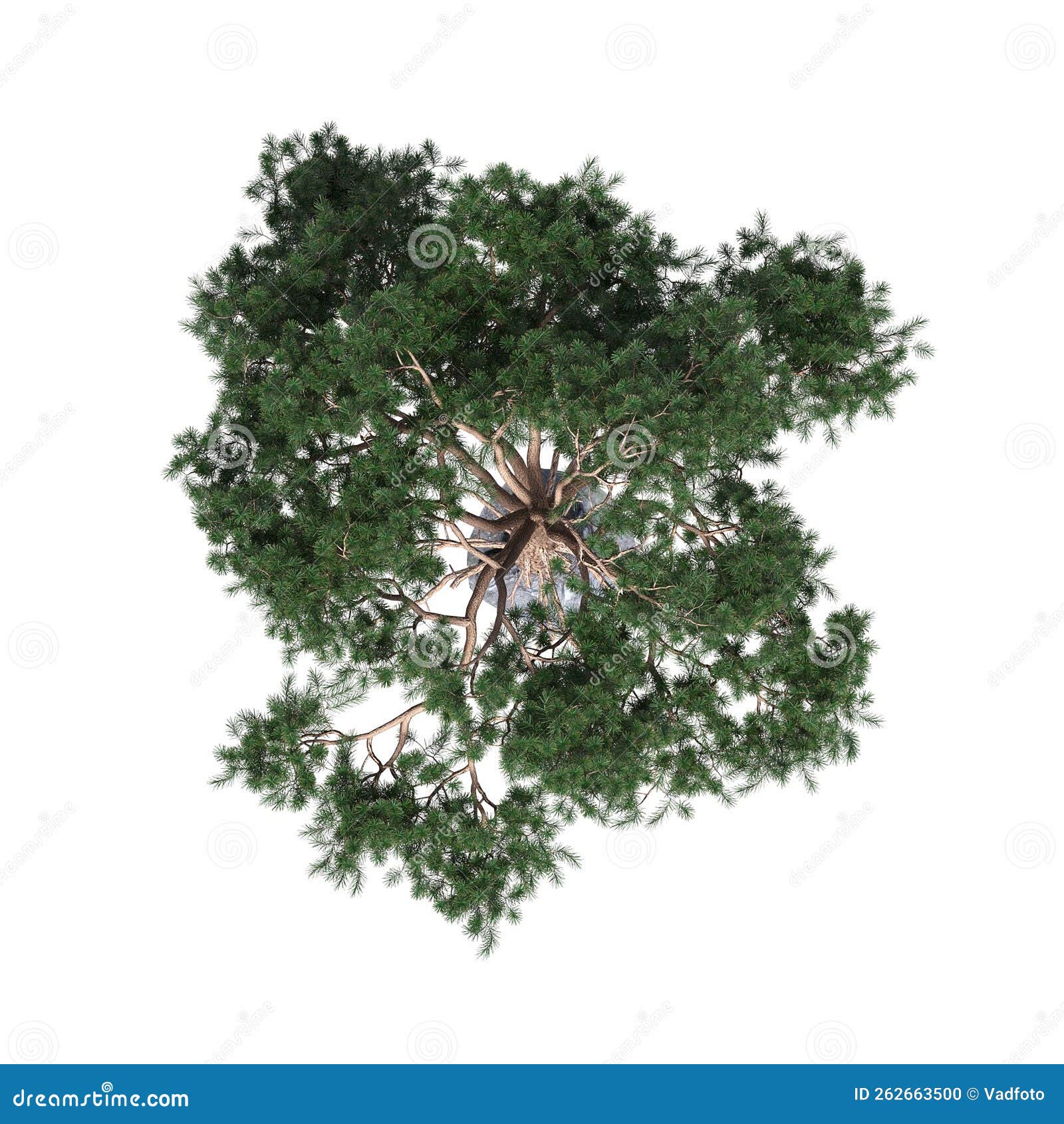 Tree Top View, Isolated on White Background Stock Illustration ...