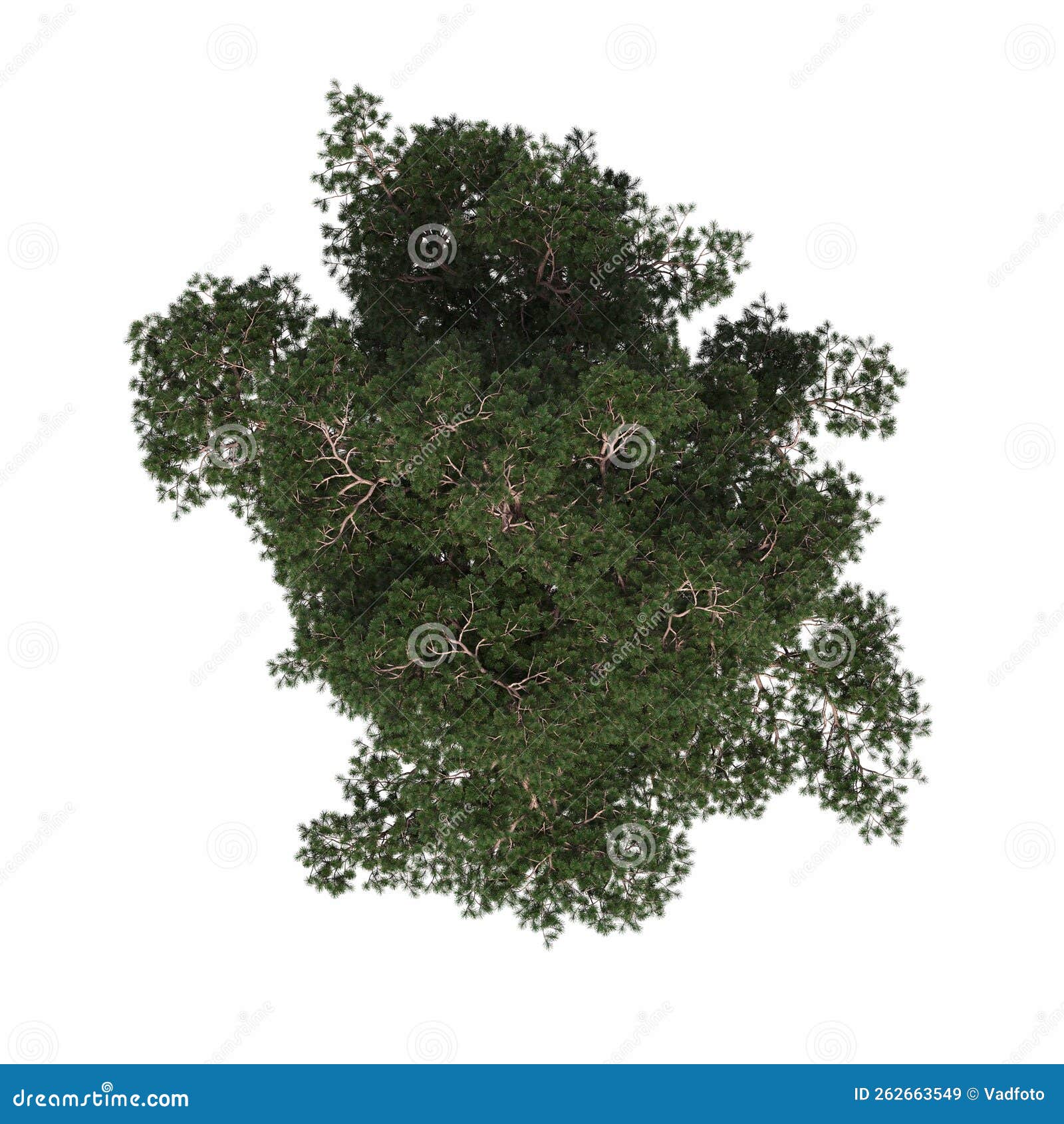 Tree Top View, Isolated on White Background Stock Illustration ...