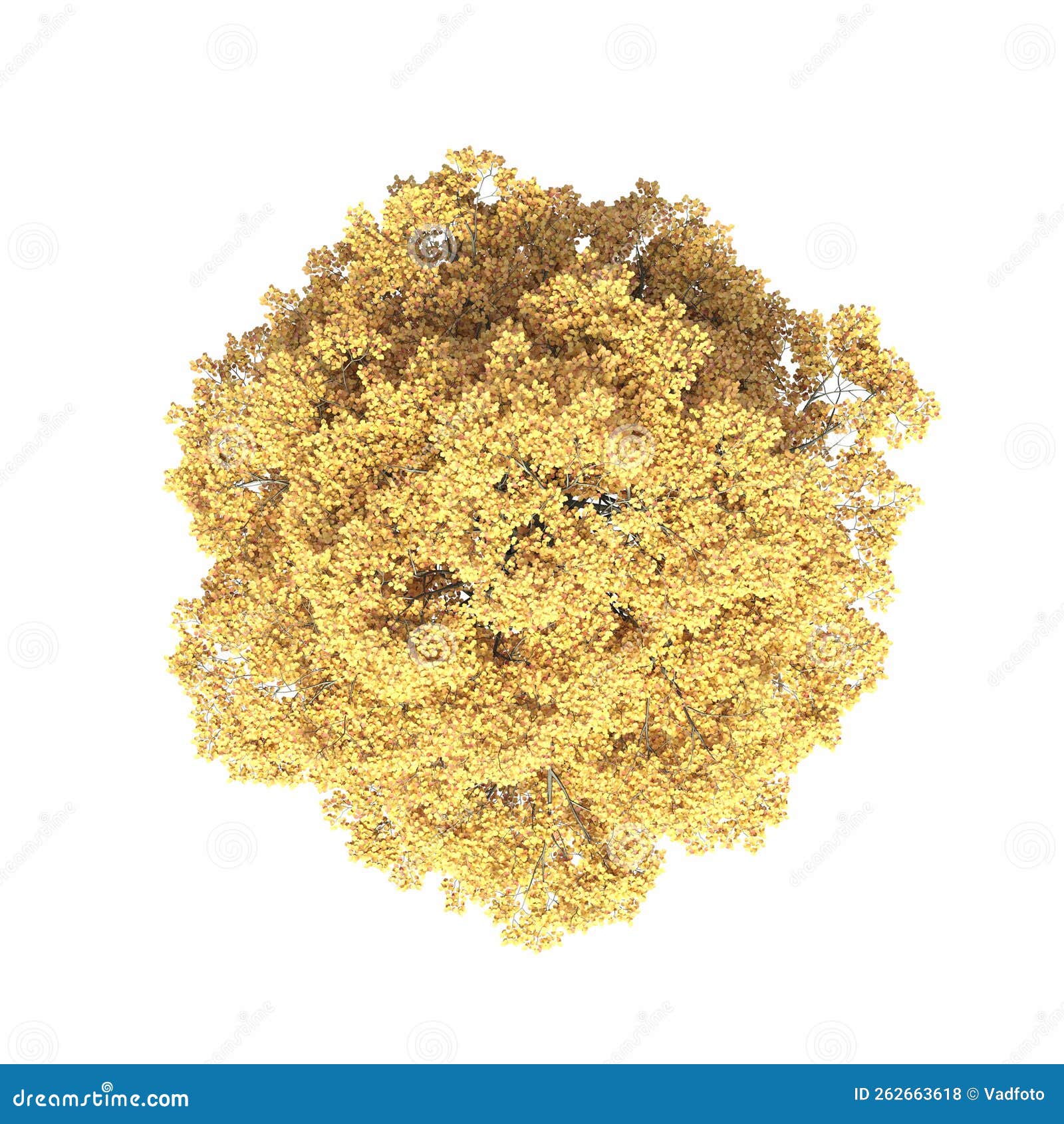 Tree Top View, Isolated on White Background Stock Illustration ...