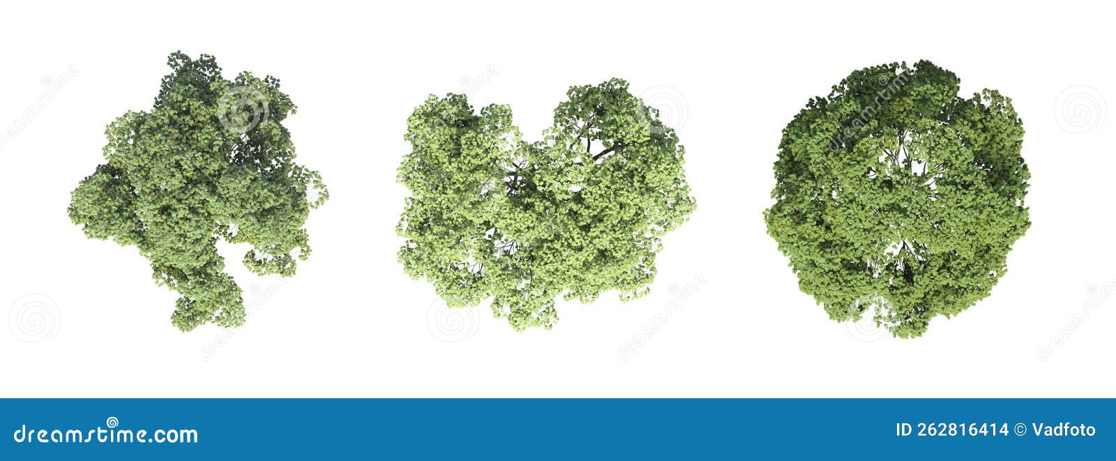 Tree Top View, Isolated on White Background Stock Illustration ...