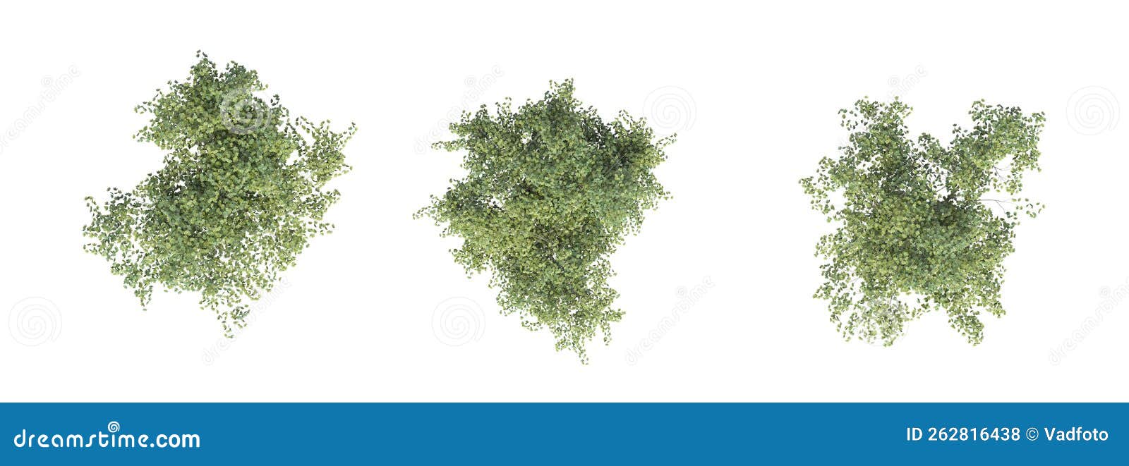Tree Top View, Isolated on White Background Stock Illustration ...