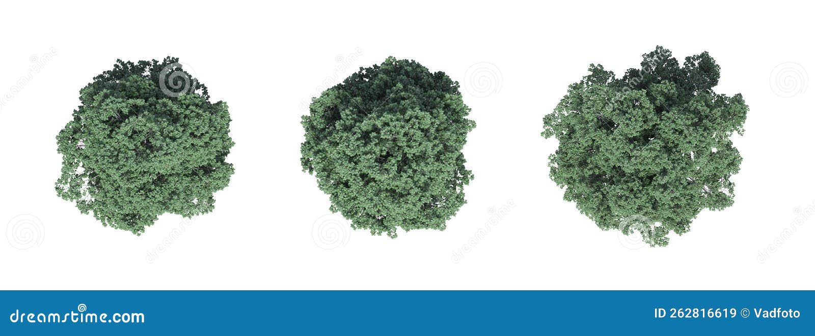 Tree Top View, Isolated on White Background Stock Illustration ...