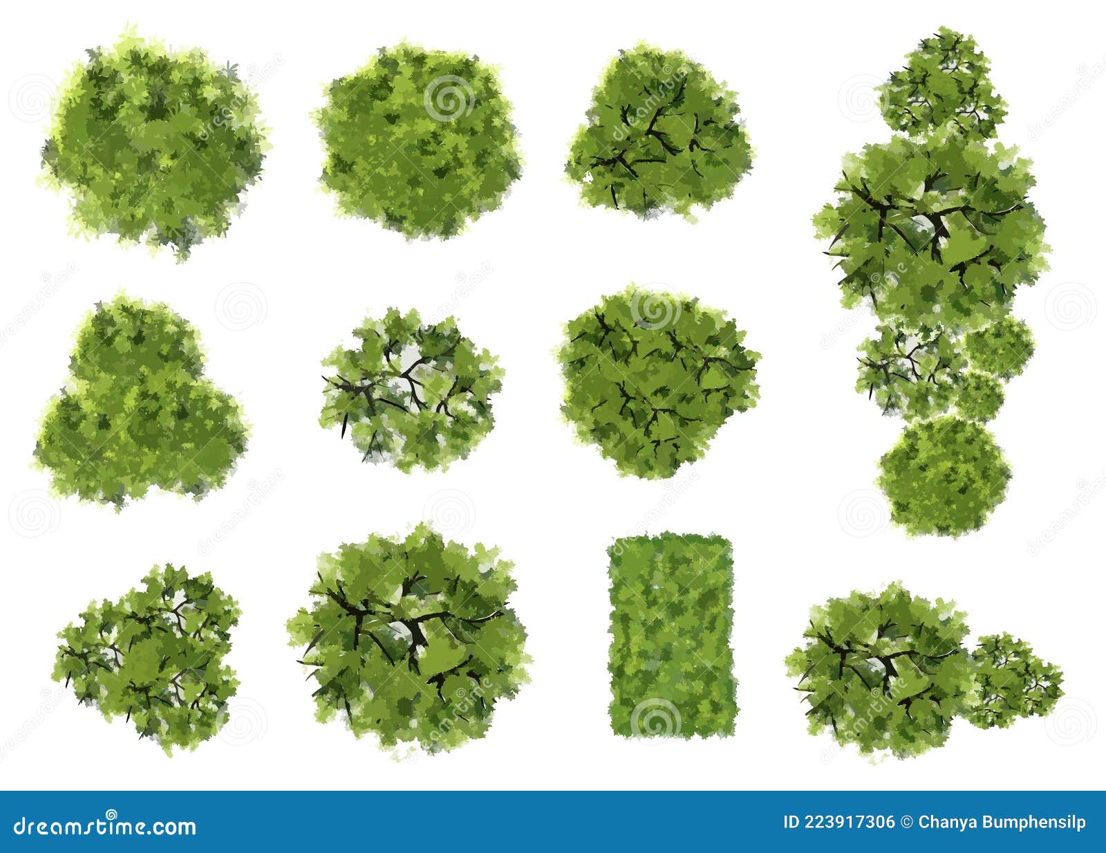 Tree Top View Isolated on White Background Stock Vector - Illustration ...