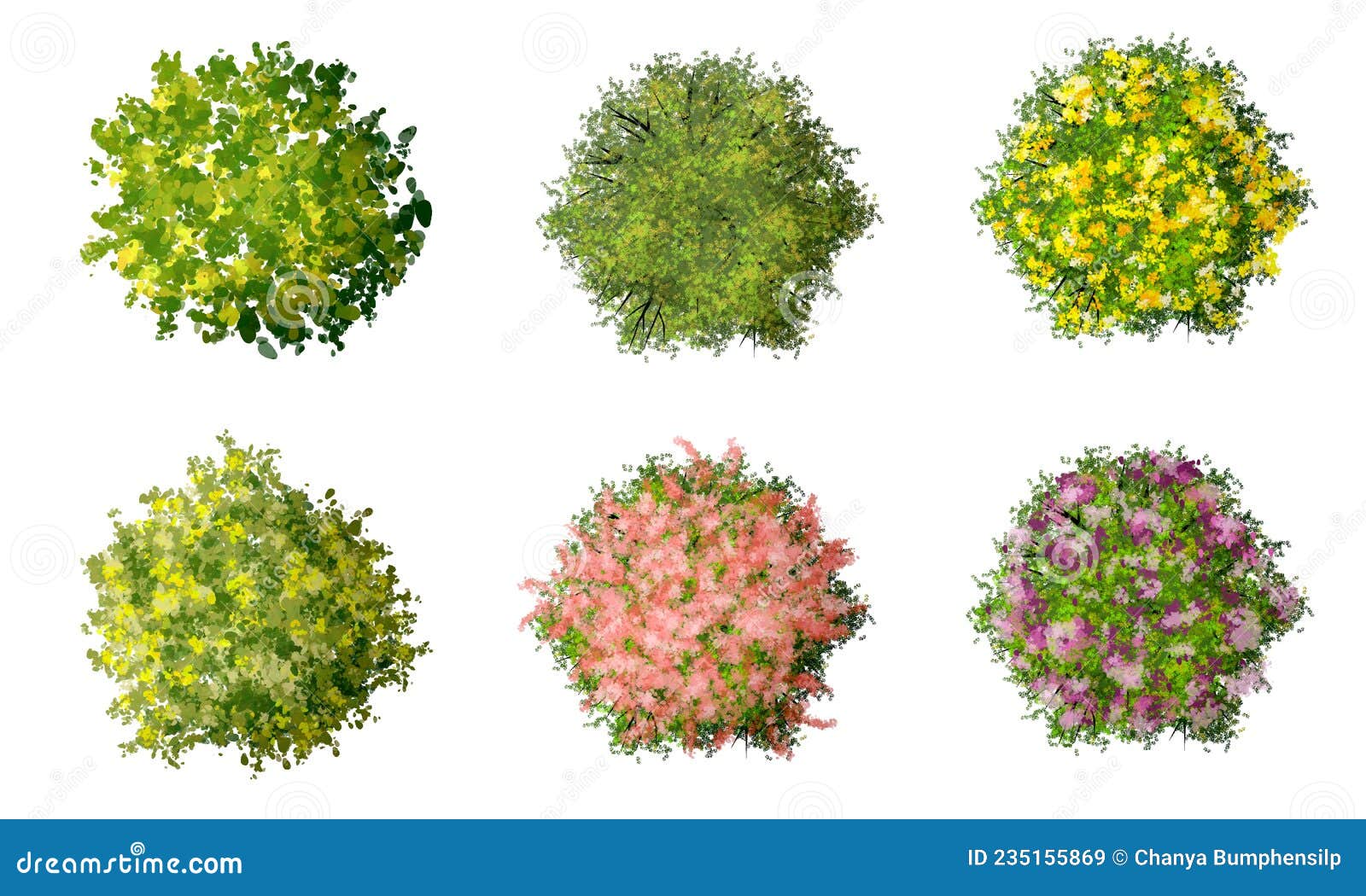 Tree Top View for Landscape View Stock Image - Image of view, elevation ...